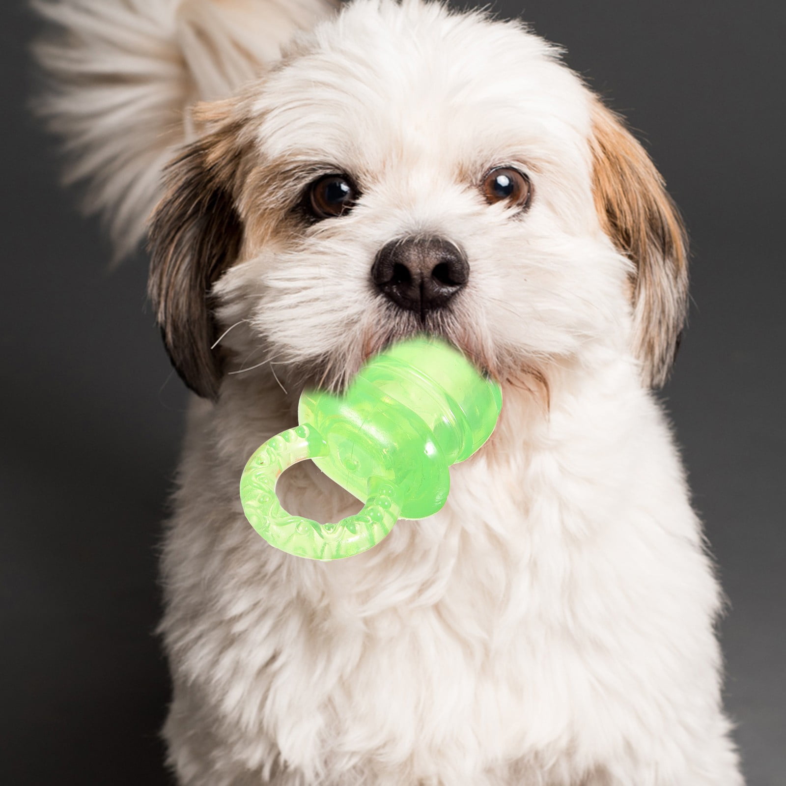 EcoVerve Pet Dog Toys TPR Transparent Pacifier Dog Biting Toys Venting ...