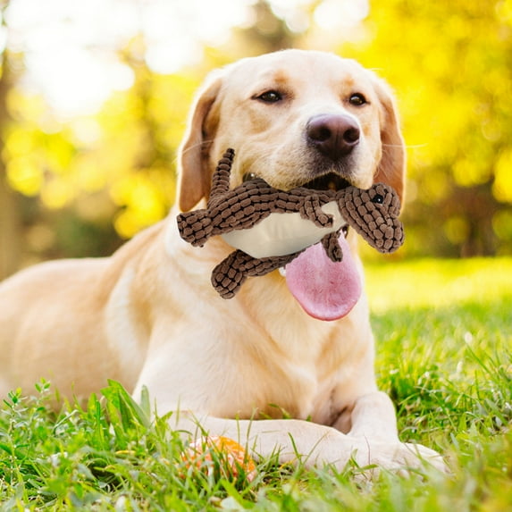 EcoVerve Pet Plush Chew Toys Animal Play Squeak Toys Plush Puppy Toy ...