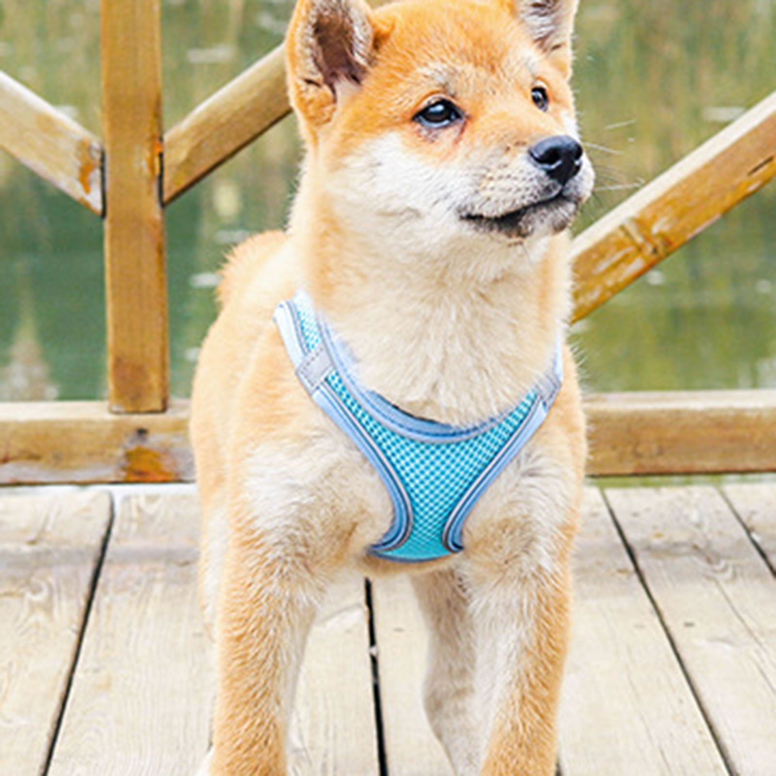 EcoVerve Soft Small Dog Harness And Leash Set Step In Air Mesh Puppy ...