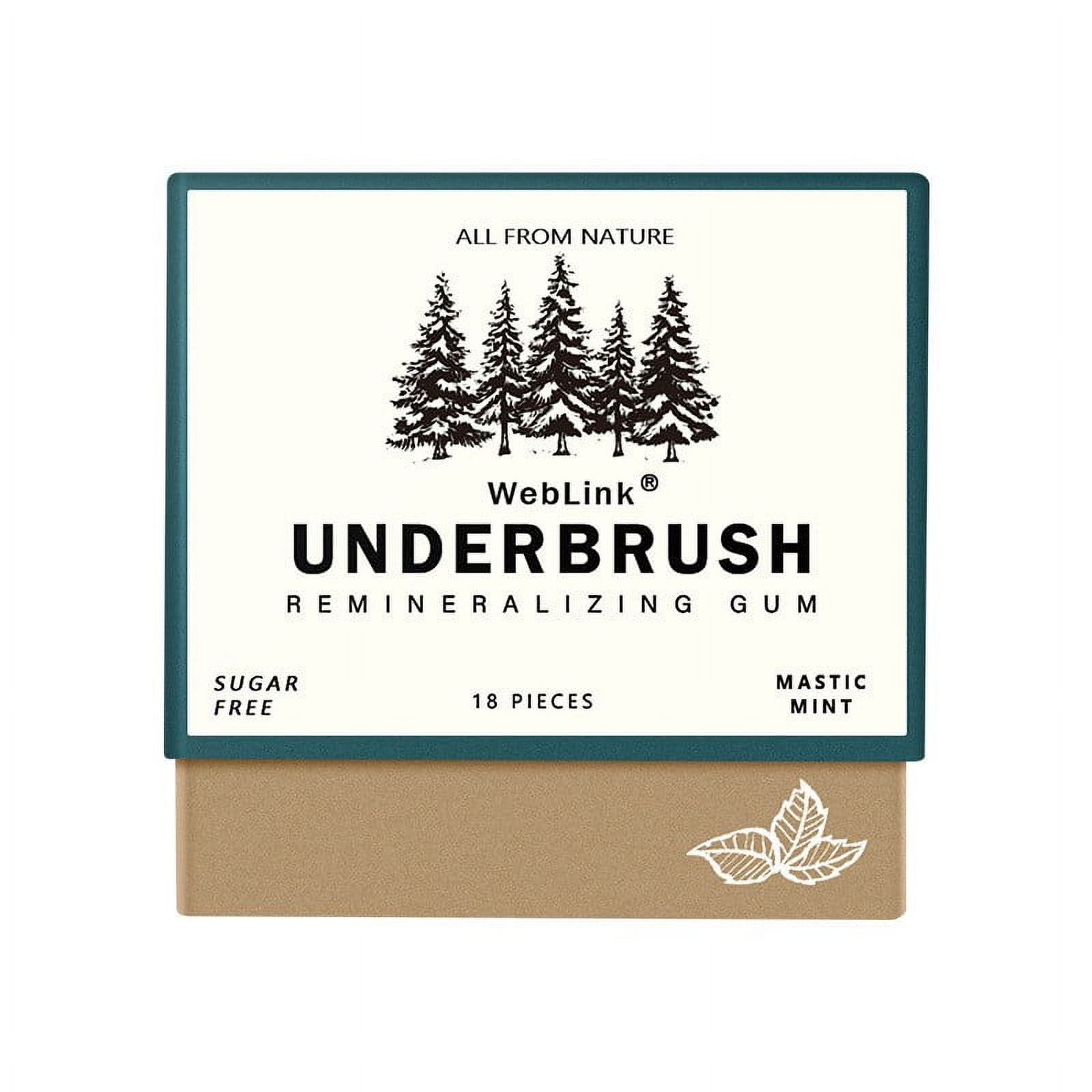 EcoVerve Underbrush Remineralizing Gum Mastic Mint, Sugar Free 18 ...