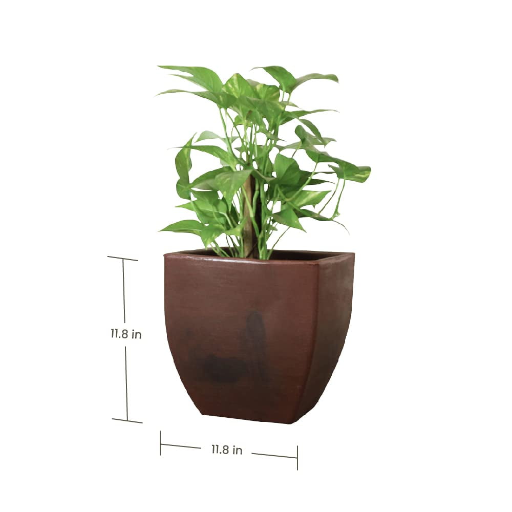 Ecobo 11.8’’ Tall Eco-Friendly Pot Square Planter - Capri Indoor ...