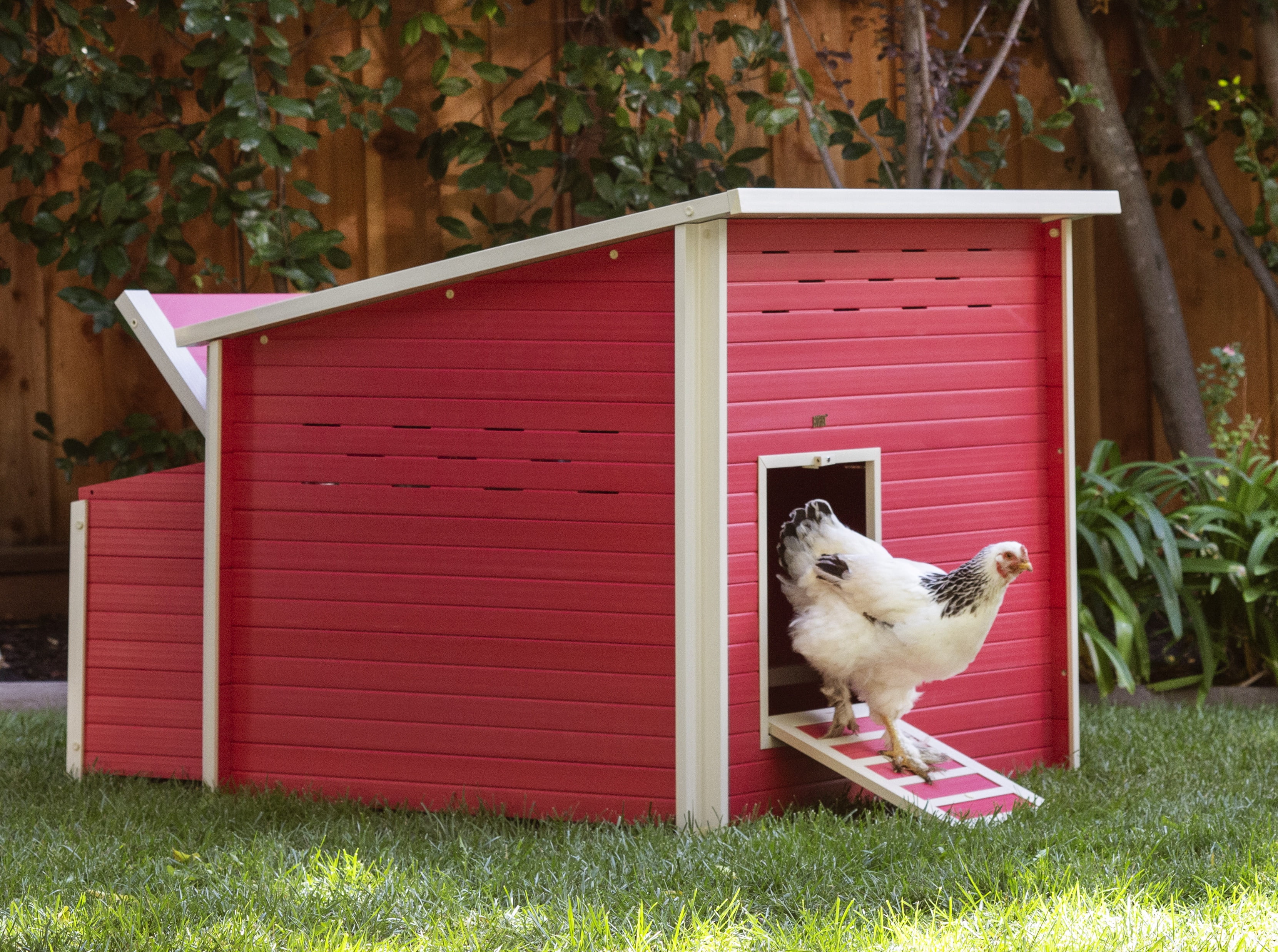 New Age Pet® ECOFLEX® Jumbo Fontana Chicken Barn - Moisture and Odor ...