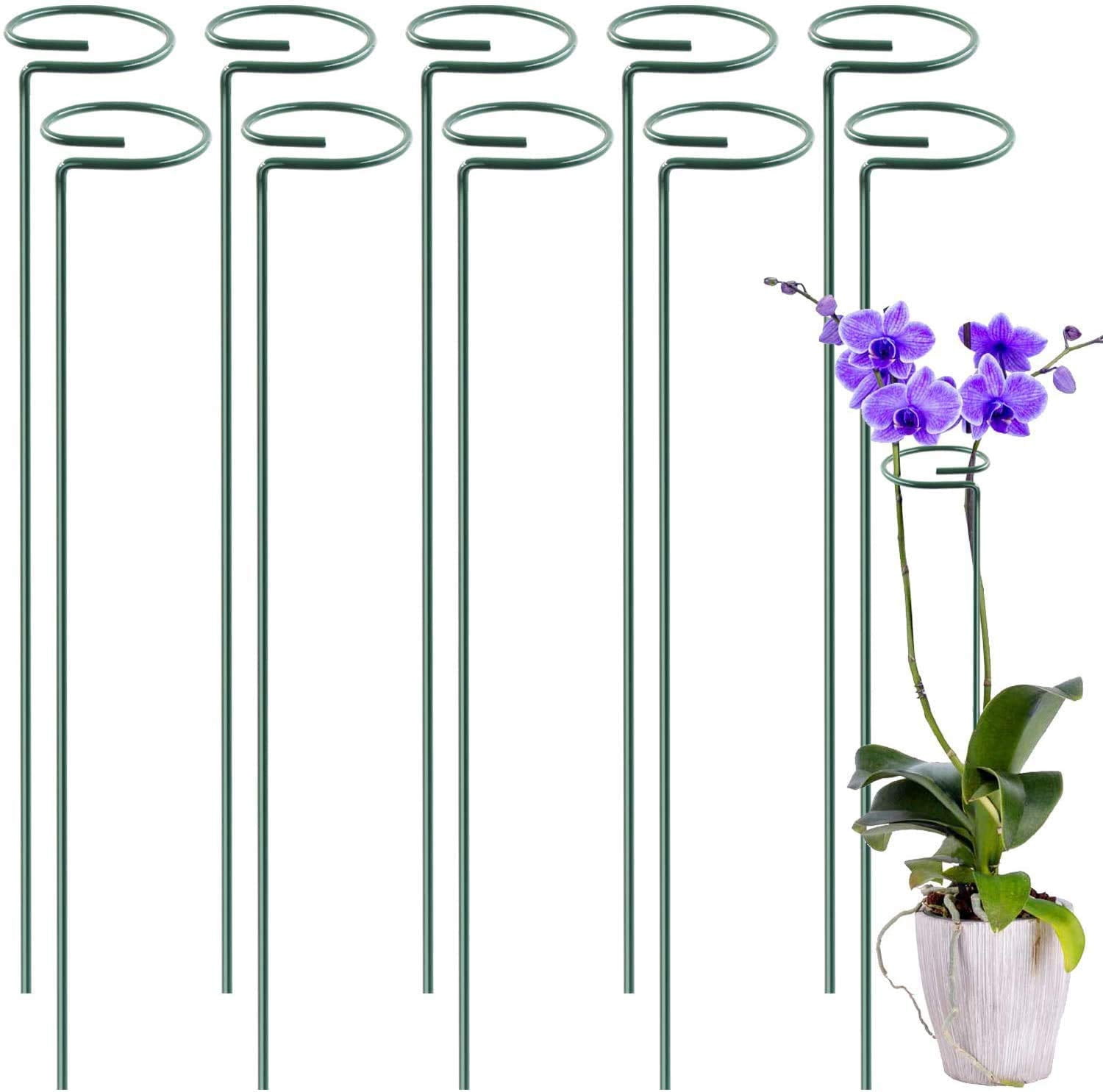 Ecofynd 16 Inches Metal Plant Stakes, Pack Of 10 | Single Stem Flower ...