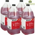 Ecolab Degreaser Heavy Grease Express 3.79L/1 Gallon (4/Case) - Walmart.com