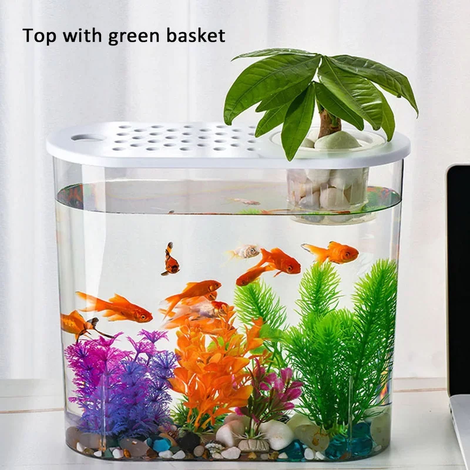 Ecological Fish Tank Aquarium Douyu Tabletop Aquarium Incubator Office ...