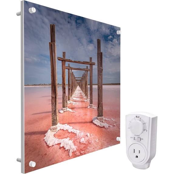 EconoHome Wall Mount Space Heater Panel 2023 - Thermostat, 400W, Low ...