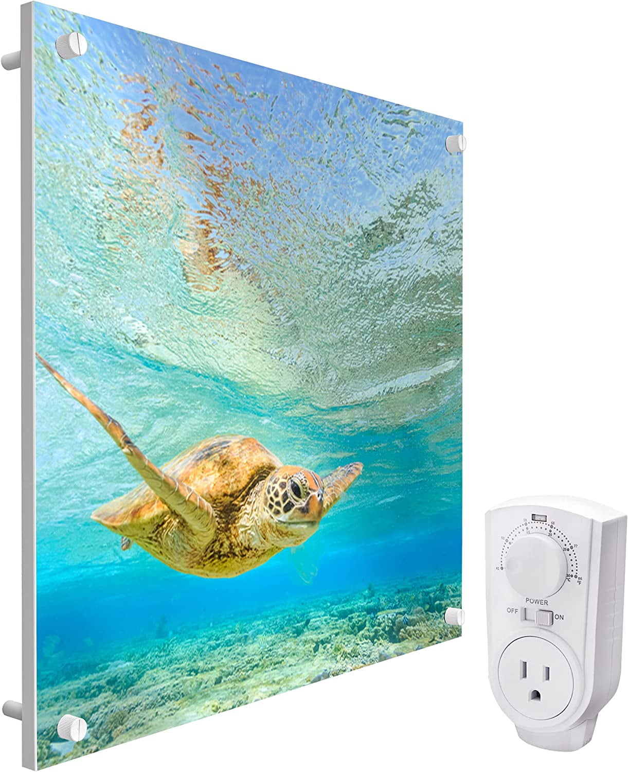 EconoHome Wall Mount Space Heater Panel 2023 Model - with Thermostat ...