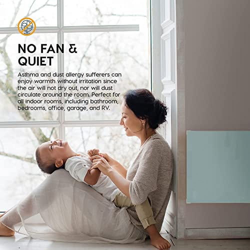 EconoHome Wall Mount Space Heater Panel - 250 Watt Splashproof ...