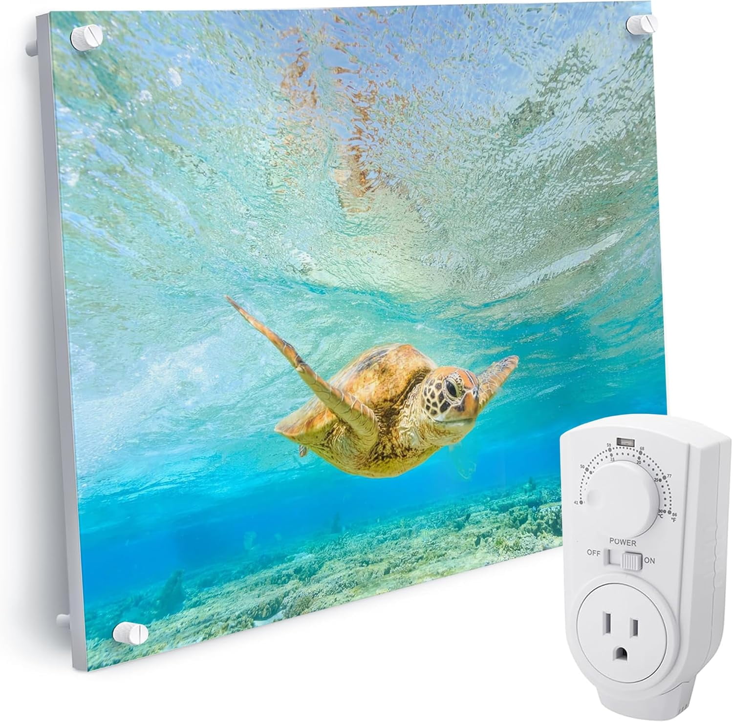 EconoHome Wall Mount Space Heater Panel - with Thermostat - 250 Watt ...