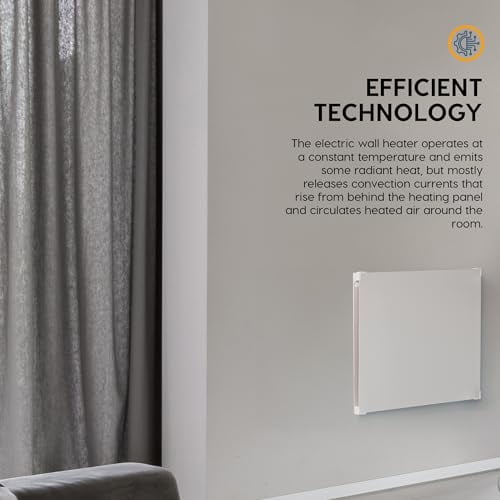 EconoHome Wall Mount Space Heater Panel - with Thermostat and Heat ...