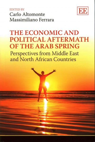 Economic and Political Aftermath of the Arab Spring : Perspectives from ...
