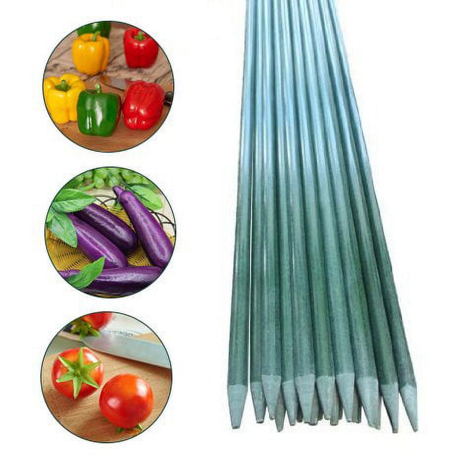 Ecostake, 6-Feet, 10 Pack, 3/8-Inch Dia, Garden Stakes, Farm Stakes ...