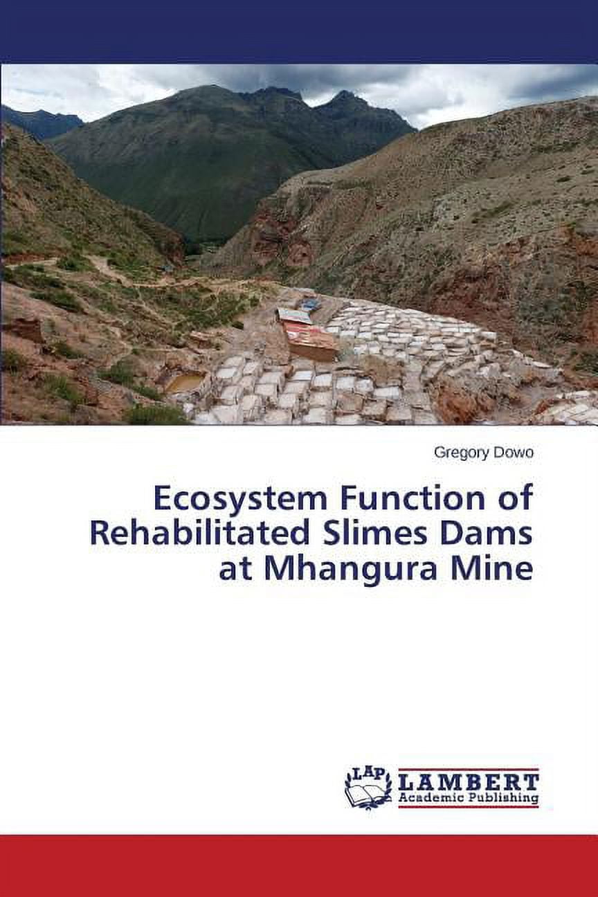 Ecosystem Function of Rehabilitated Slimes Dams at Mhangura Mine ...