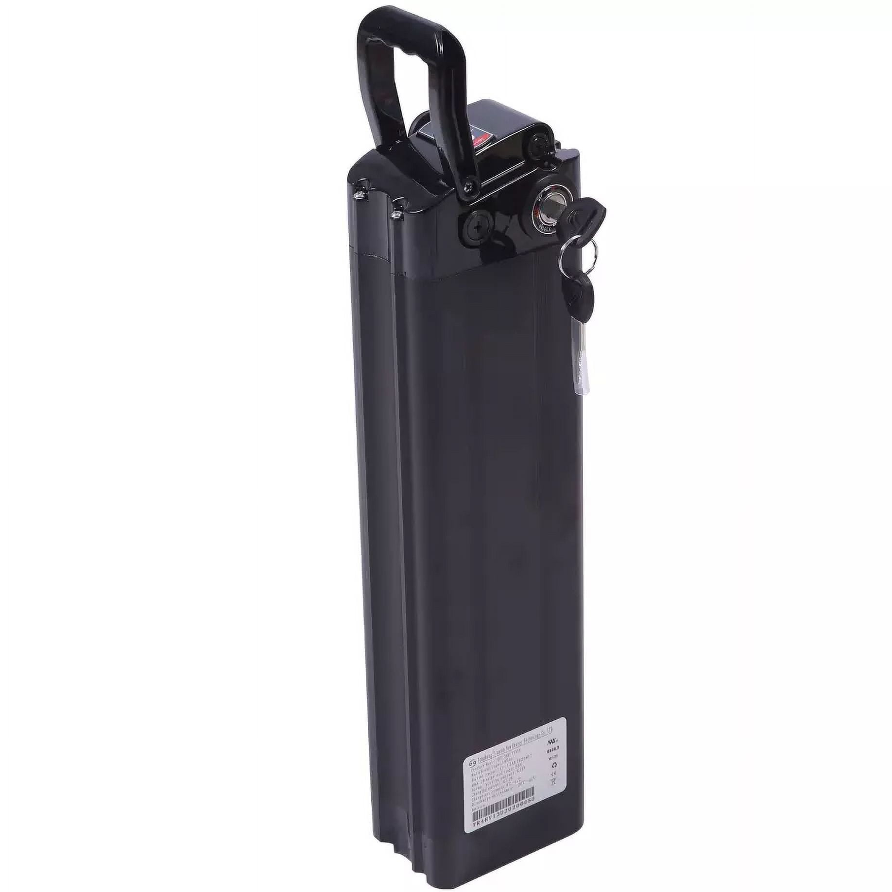 Ecotric 12.5Ah 48V Replacement Battery for ECOTRIC Ebike - Walmart.com