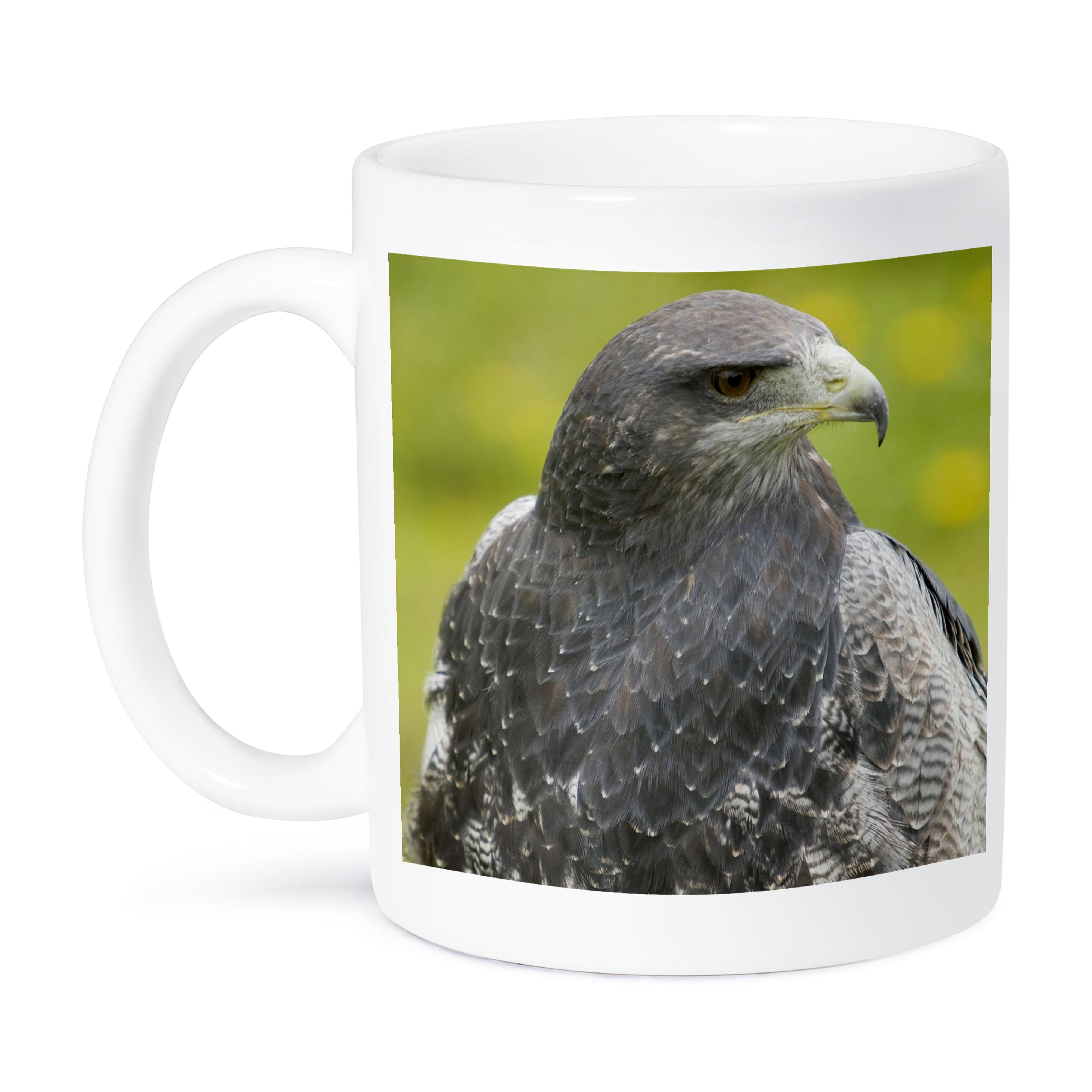 3dRose, Ecuador, Barred Hawk bird at Parque Condor - SA07 JME0799 ...