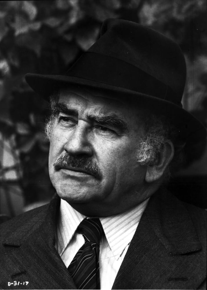 Ed Asner Photo Print (24 x 30) - Walmart.com