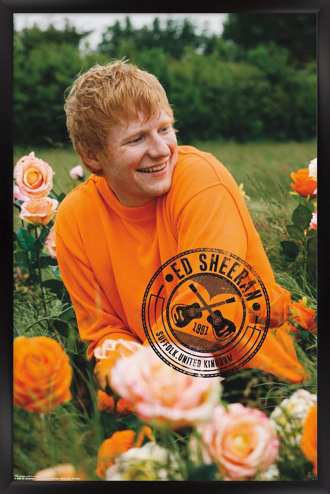 Ed Sheeran – Rose Field Wall Poster, 22.375" x 34" Framed - Walmart.com