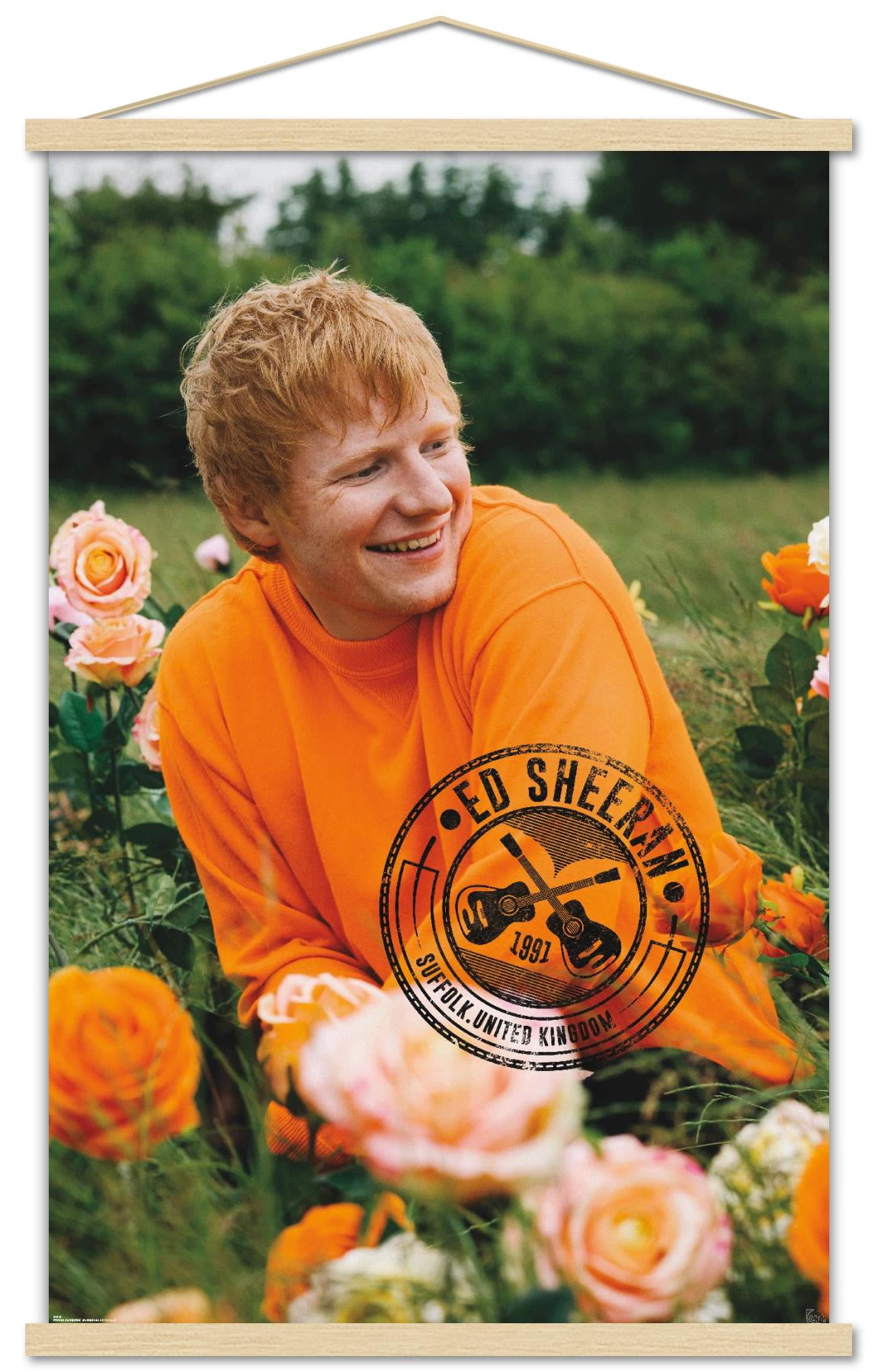 Ed Sheeran – Rose Field Wall Poster with Magnetic Frame, 22.375" x 34 ...