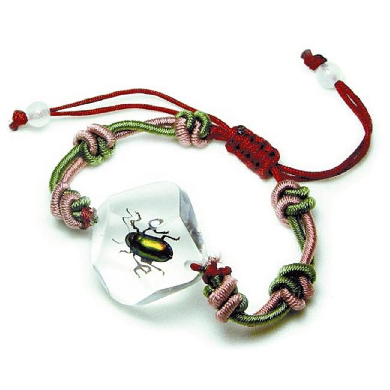 Real Bug Bracelet