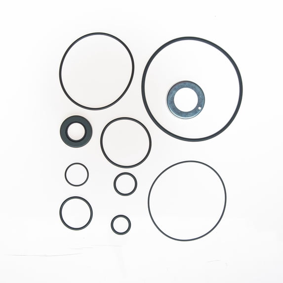 Edelmann 8526 Pump Seal Kit For Select Ford Lincoln Mazda Mercury ...