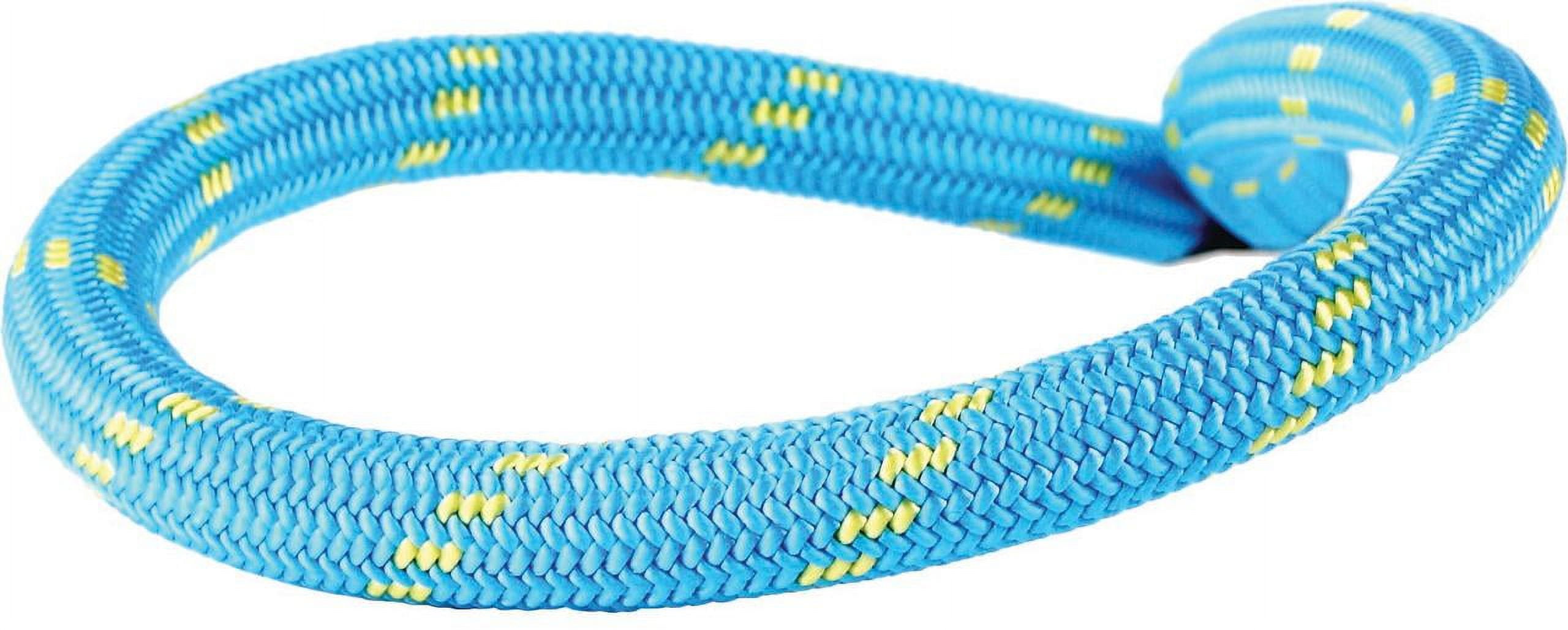 Edelweiss Curve 9.8x70 Blue Climbing Rope - Walmart.com