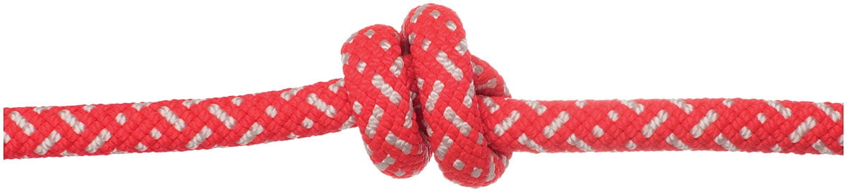 Edelweiss Discover 8.0mm X 30m Red Supereverdry Twin Ropes - High ...