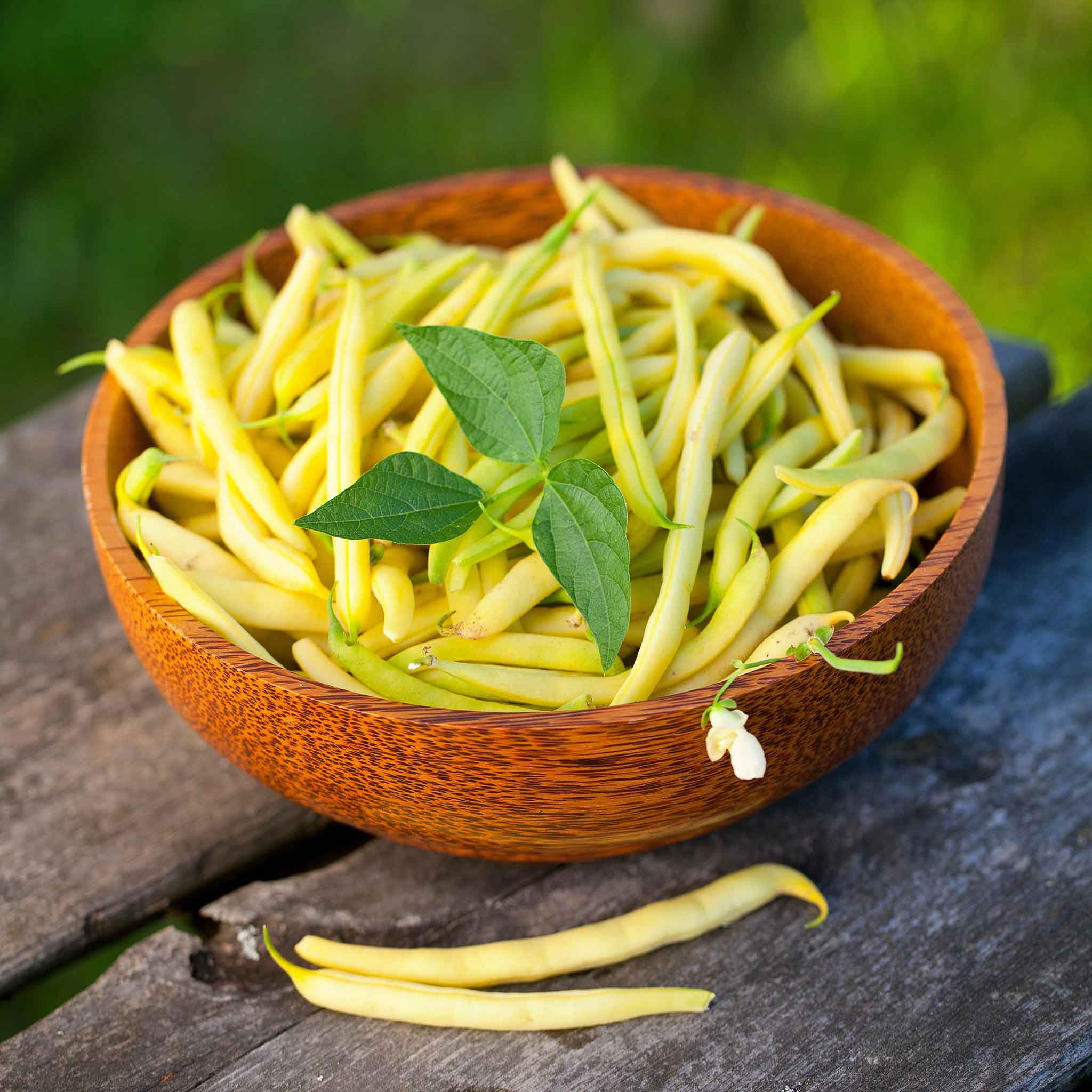 Eden Brothers Bean Seeds (Bush) - Golden Wax Non-GMO Seeds for Planting ...