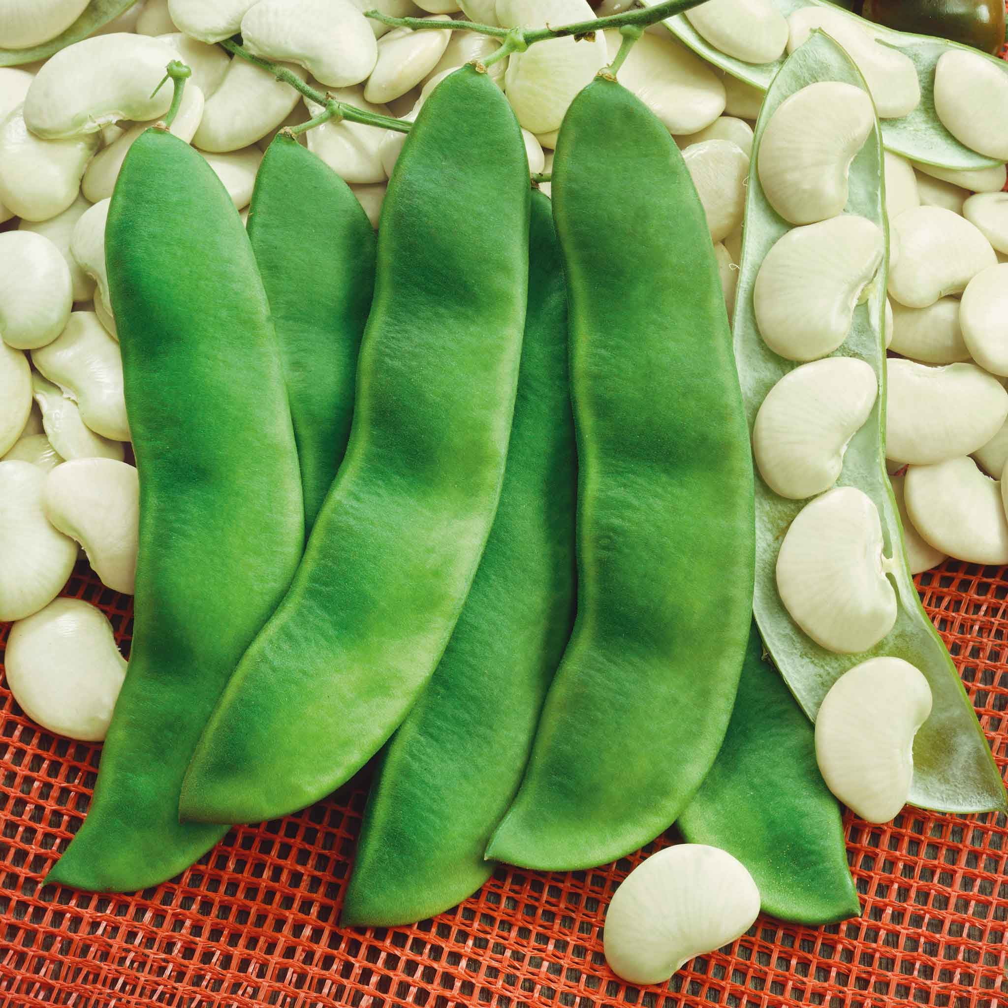 Eden Brothers Bean Seeds (Bush Lima) - Henderson Non-GMO Seeds for ...