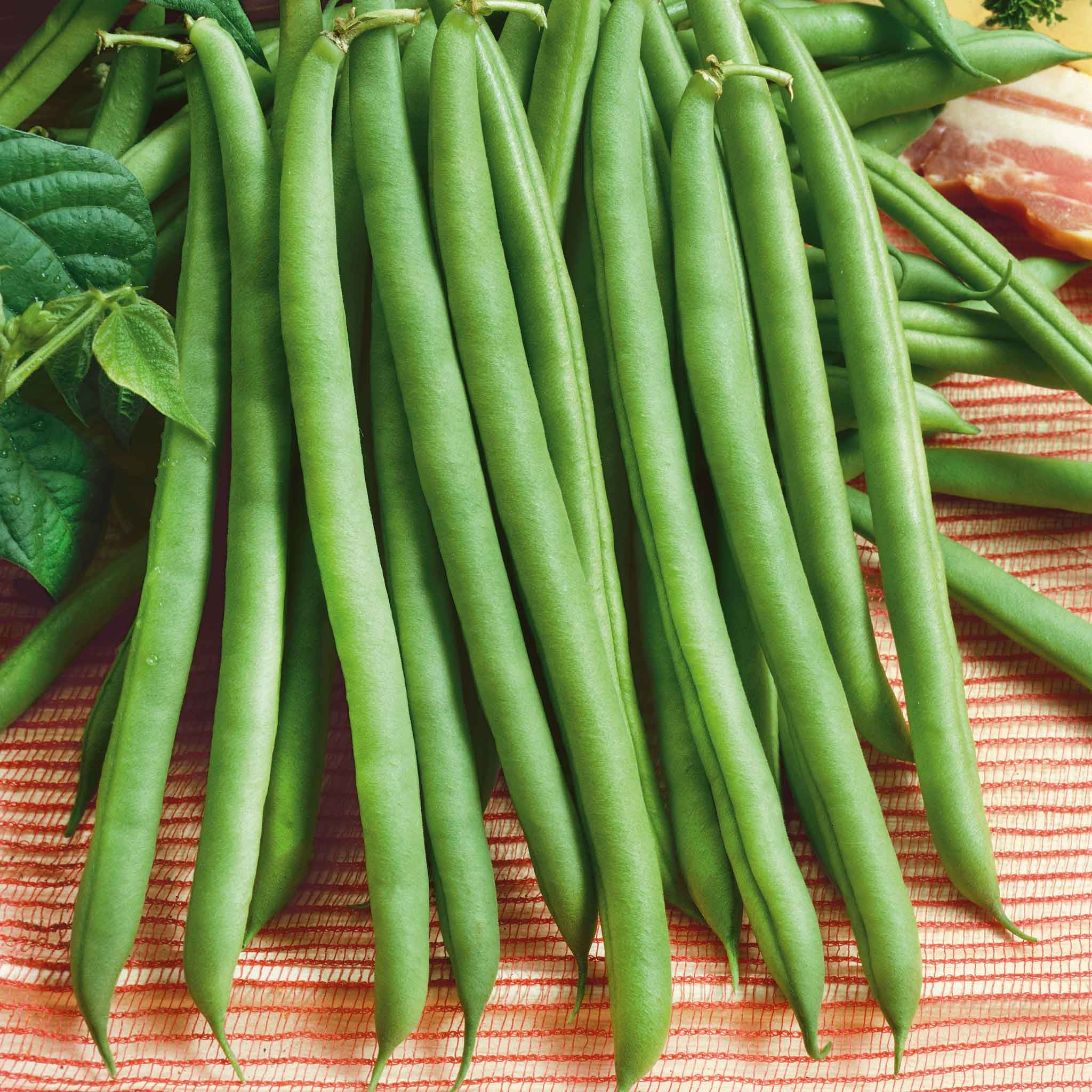 Eden Brothers Bean Seeds (Bush) - Provider Non-GMO Seeds for Planting, 1 Pound | High-Yielding ...