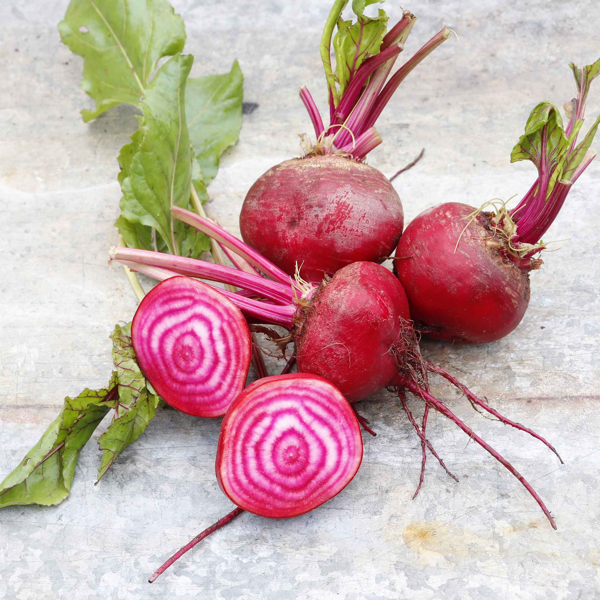 Eden Brothers Beet Seeds - Chioggia - Walmart.com