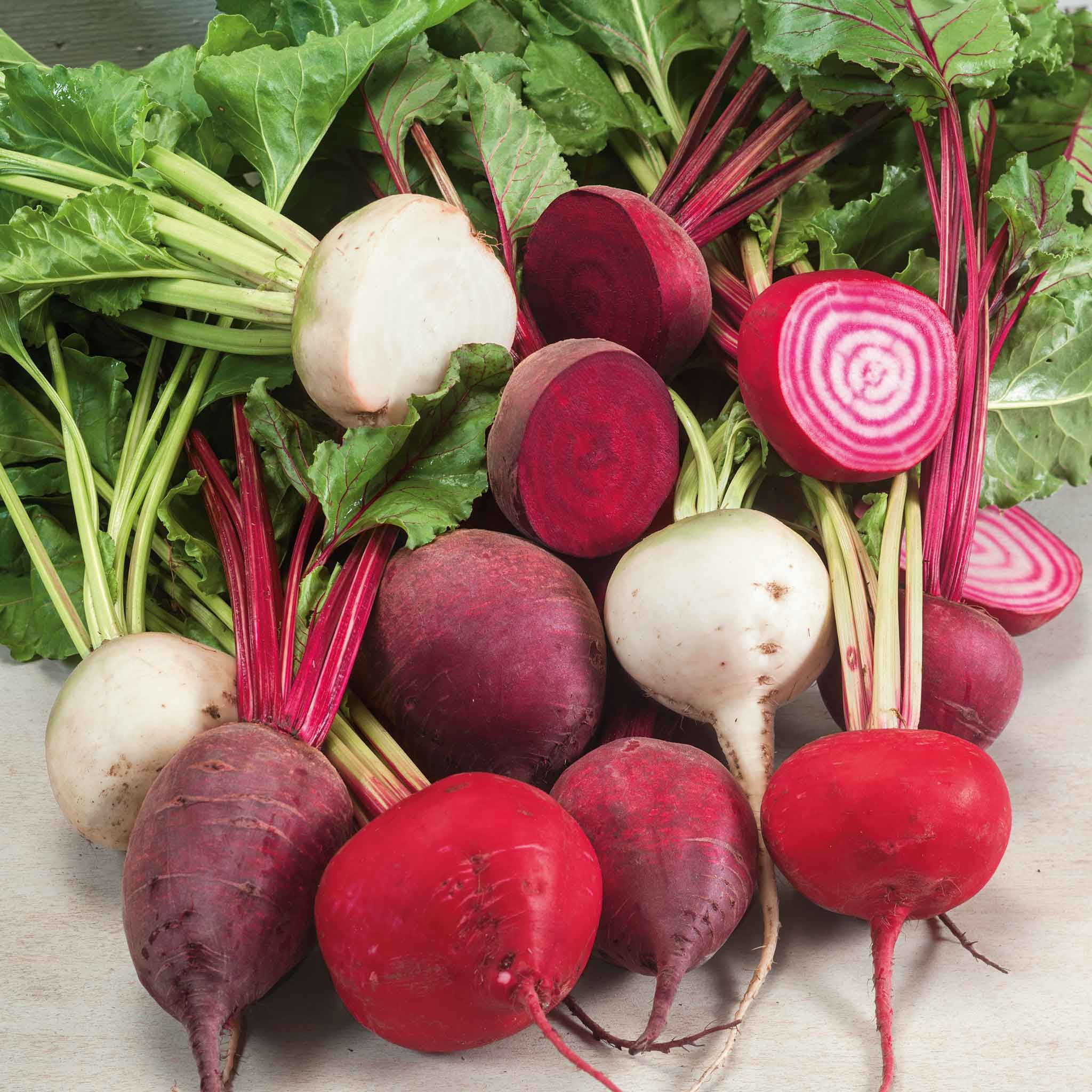 Eden Brothers Beet Seeds - Rainbow Mix Non-GMO Seeds for Planting, 1 ...