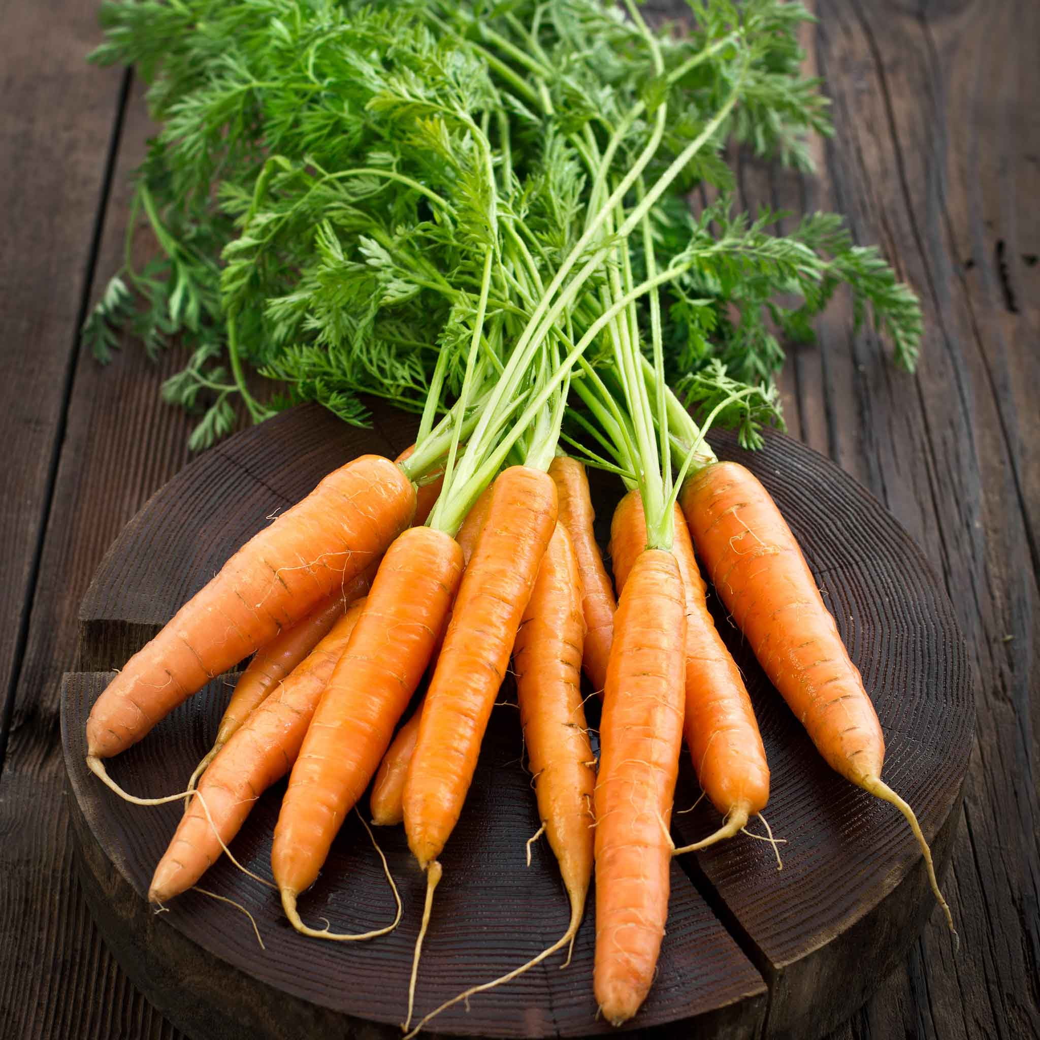 Eden Brothers Carrot Seeds - Little Finger - Walmart.com
