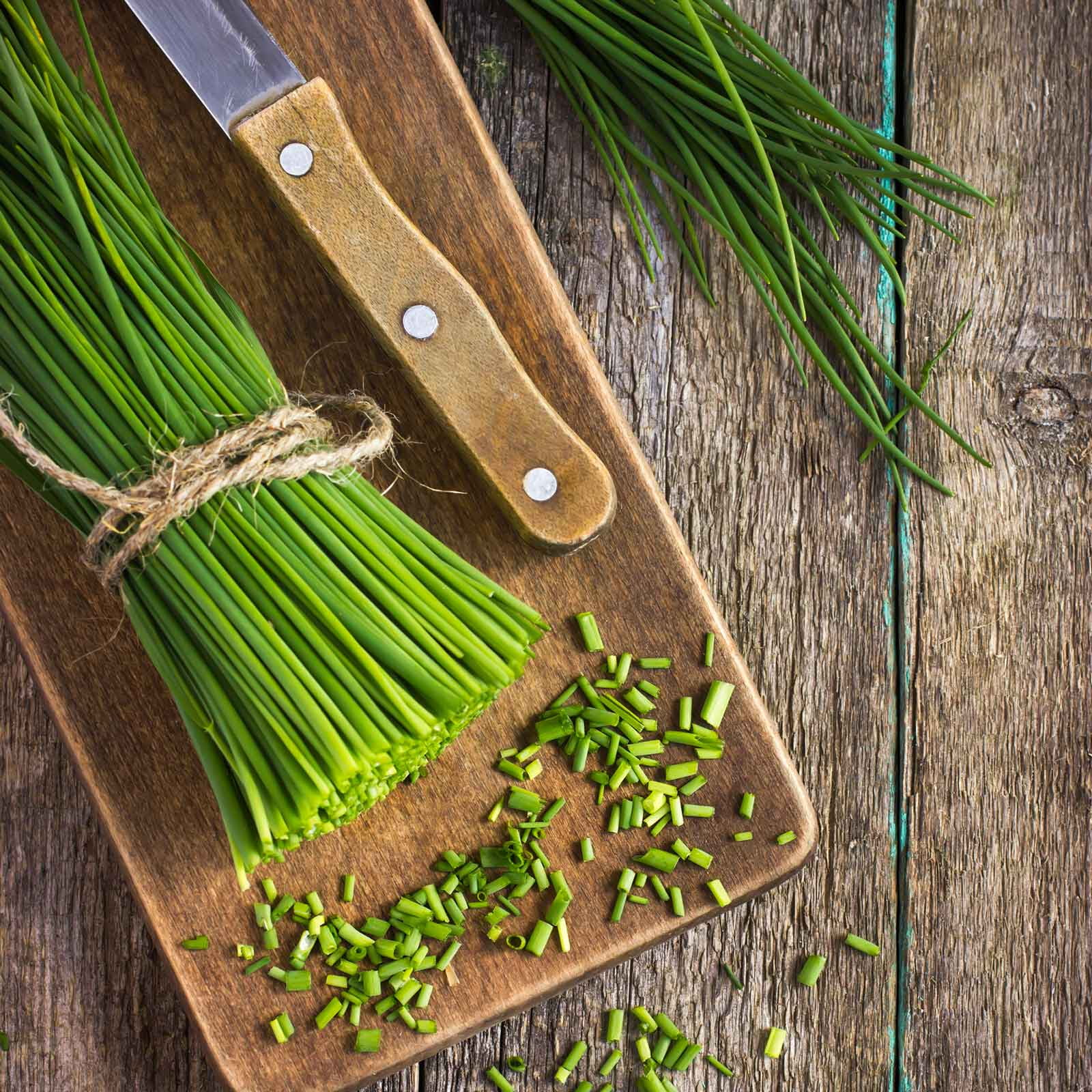 Eden Brothers Chives Seeds (Common) - Walmart.com