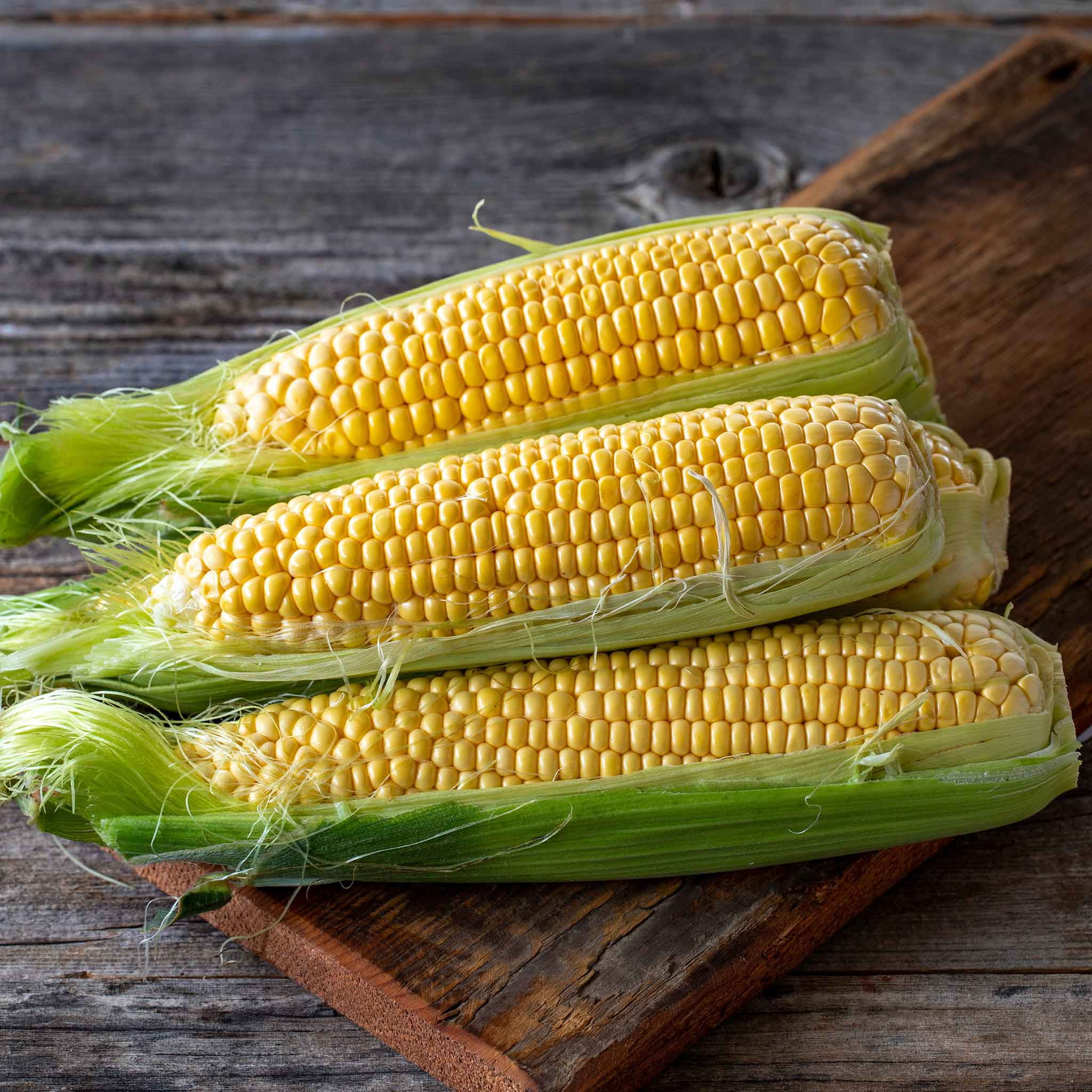 Eden Brothers Corn Seeds - Golden Bantam 8 Row - Walmart.com