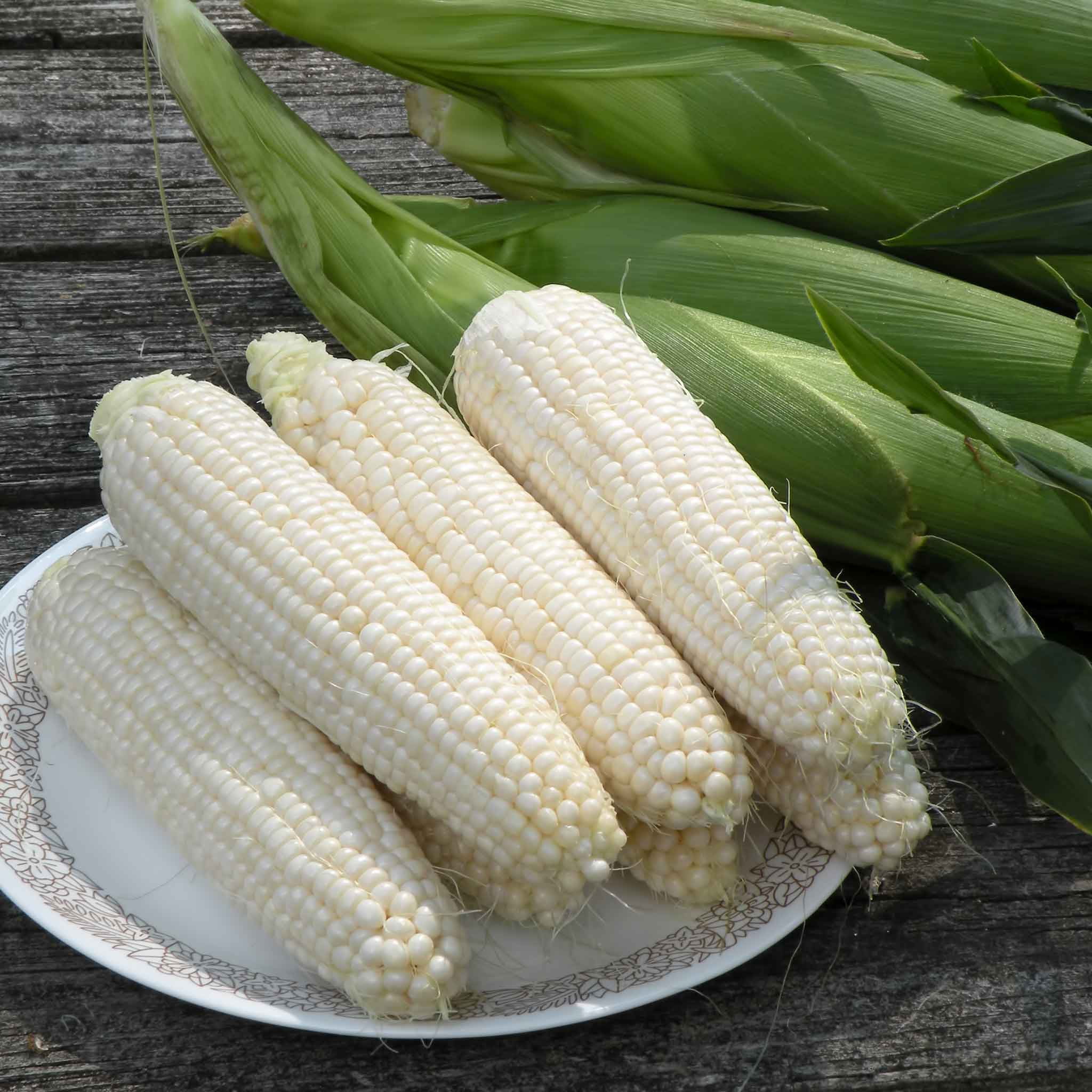 Eden Brothers Corn Seeds - Silver Queen - Walmart.com