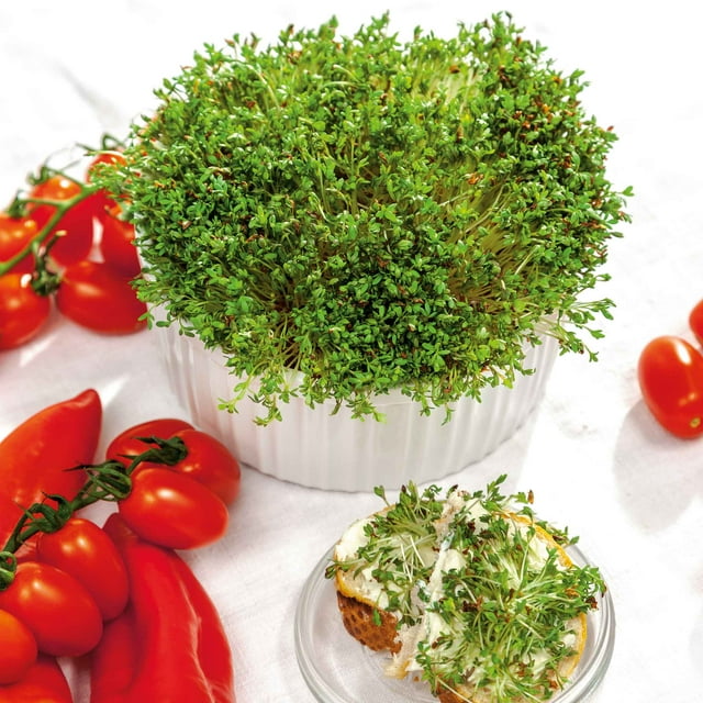 Eden Brothers Cress Seeds - Curled - Walmart.com