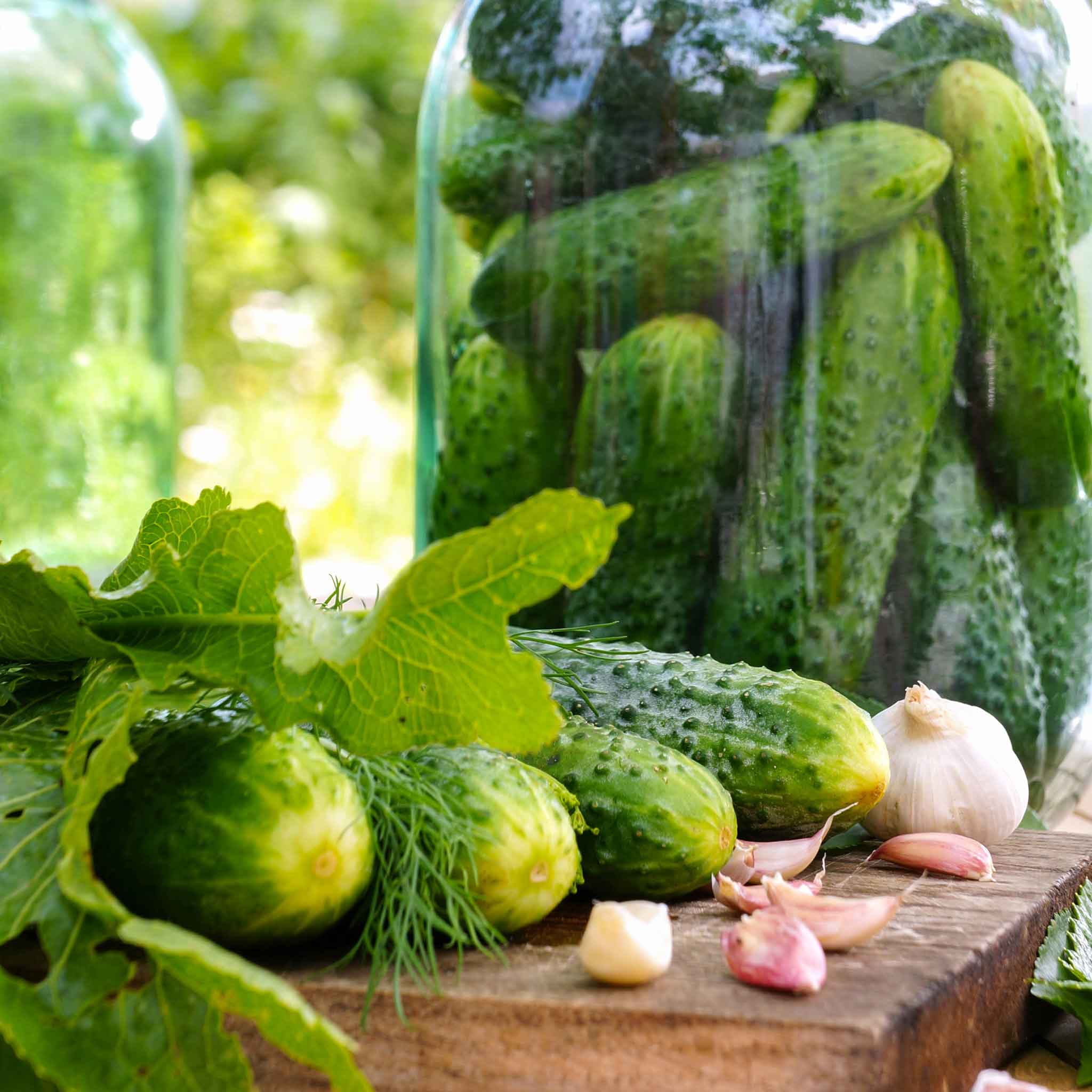Eden Brothers Cucumber Seeds (Pickling) - National Pickling - Walmart.com