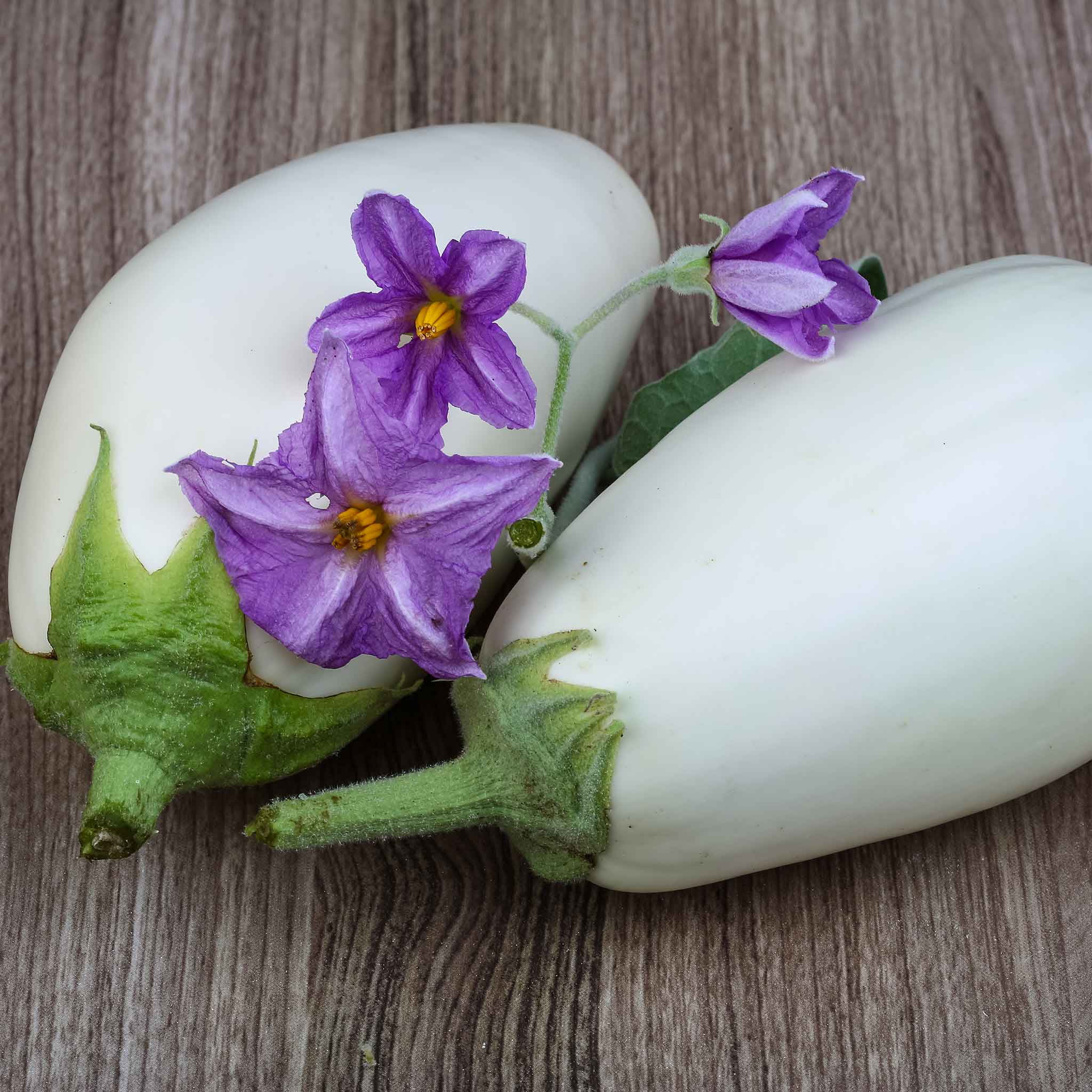 Eden Brothers Eggplant Seeds - Casper - Walmart.com