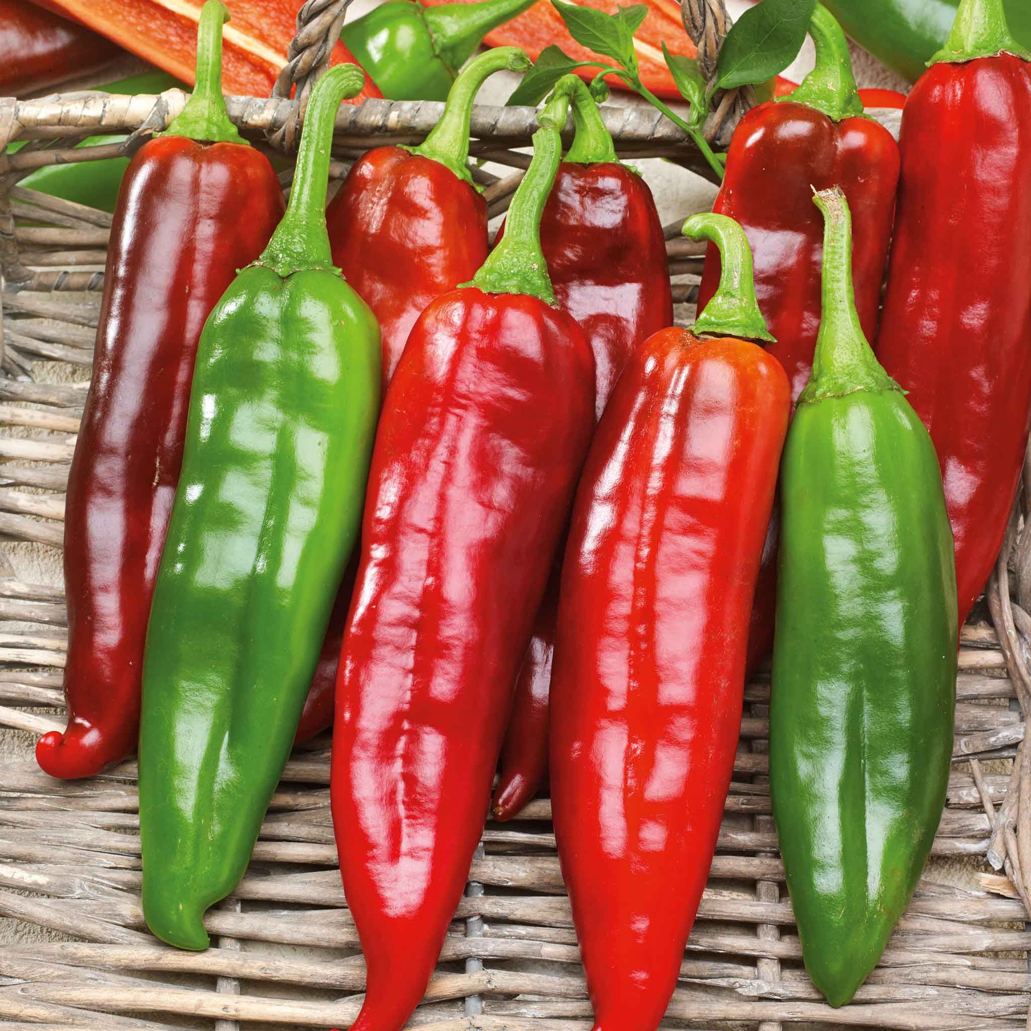 Eden Brothers Hot Pepper Seeds - Big Jim - Walmart.com