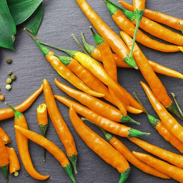 Eden Brothers Hot Pepper Seeds - Cayenne Orange - Walmart.com