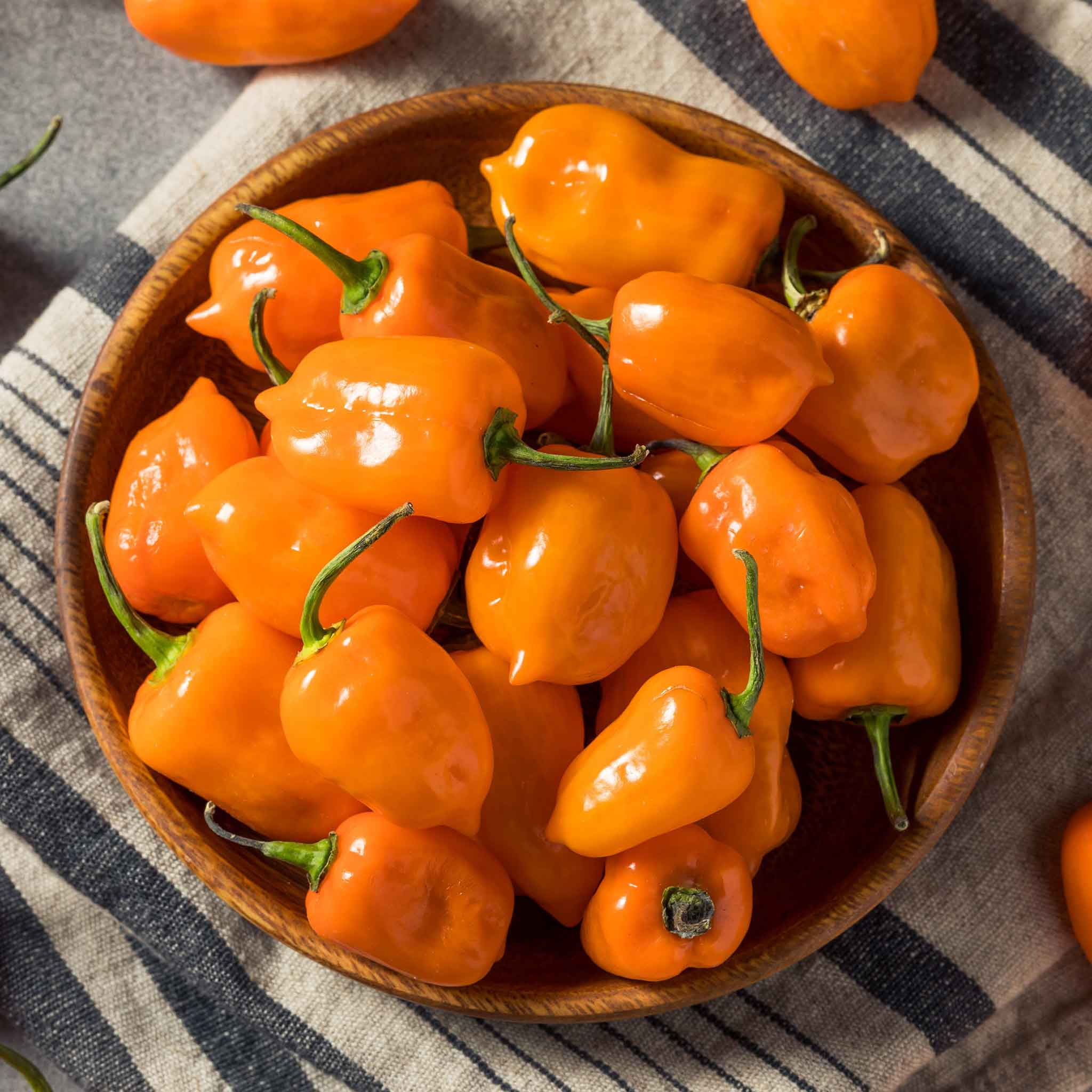 Eden Brothers Hot Pepper Seeds - Habanero Orange - Walmart Business ...