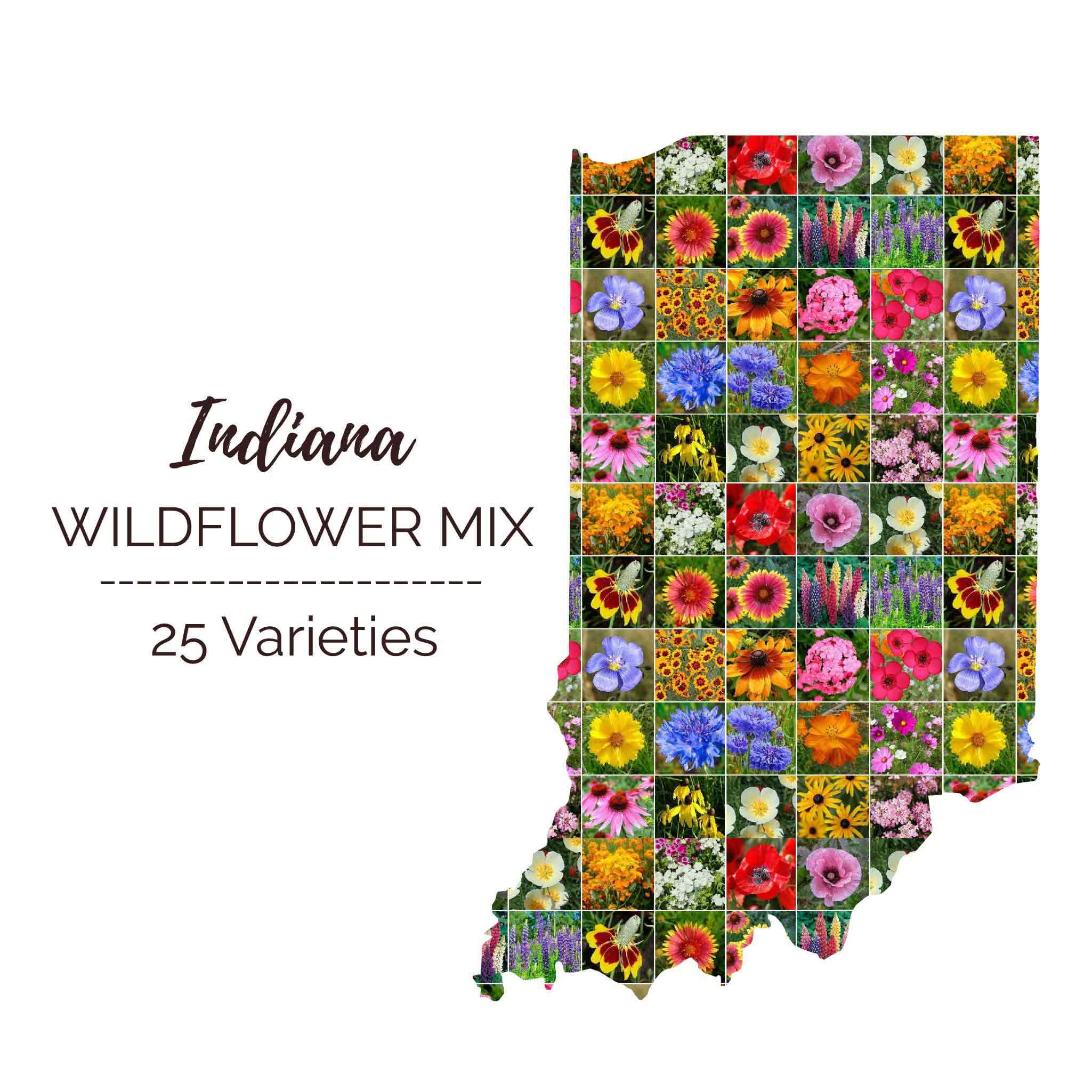 Eden Brothers Indiana Wildflower Mixed Seeds for Planting, 1 oz, 30,000 ...