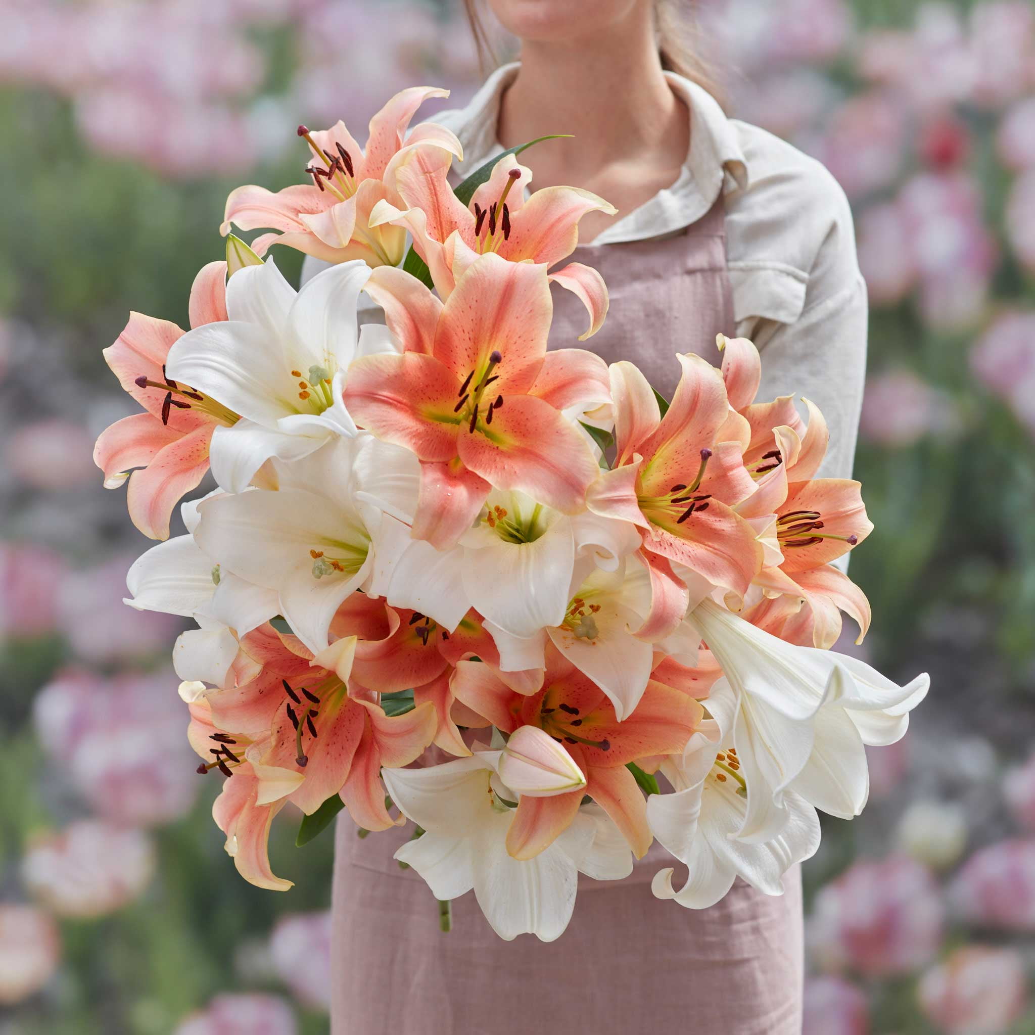 Eden Brothers Lily Bulbs - Summer Trumpet Mix - Walmart.com