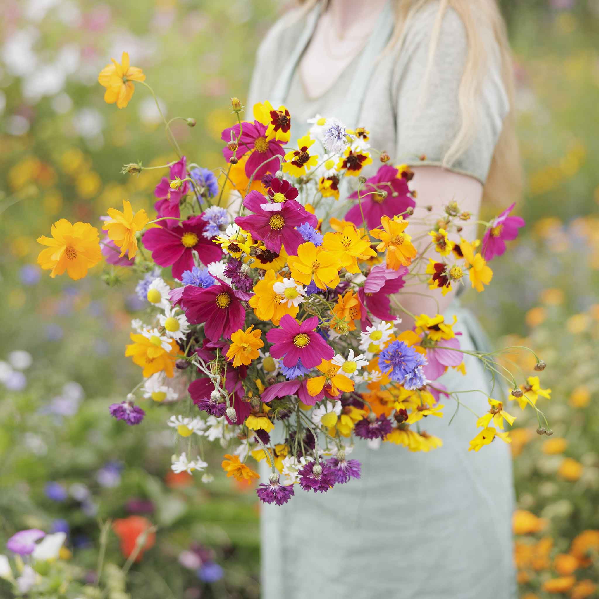 Eden Brothers Midwest Wildflower Mixed Seeds for Planting, 10 lb ...