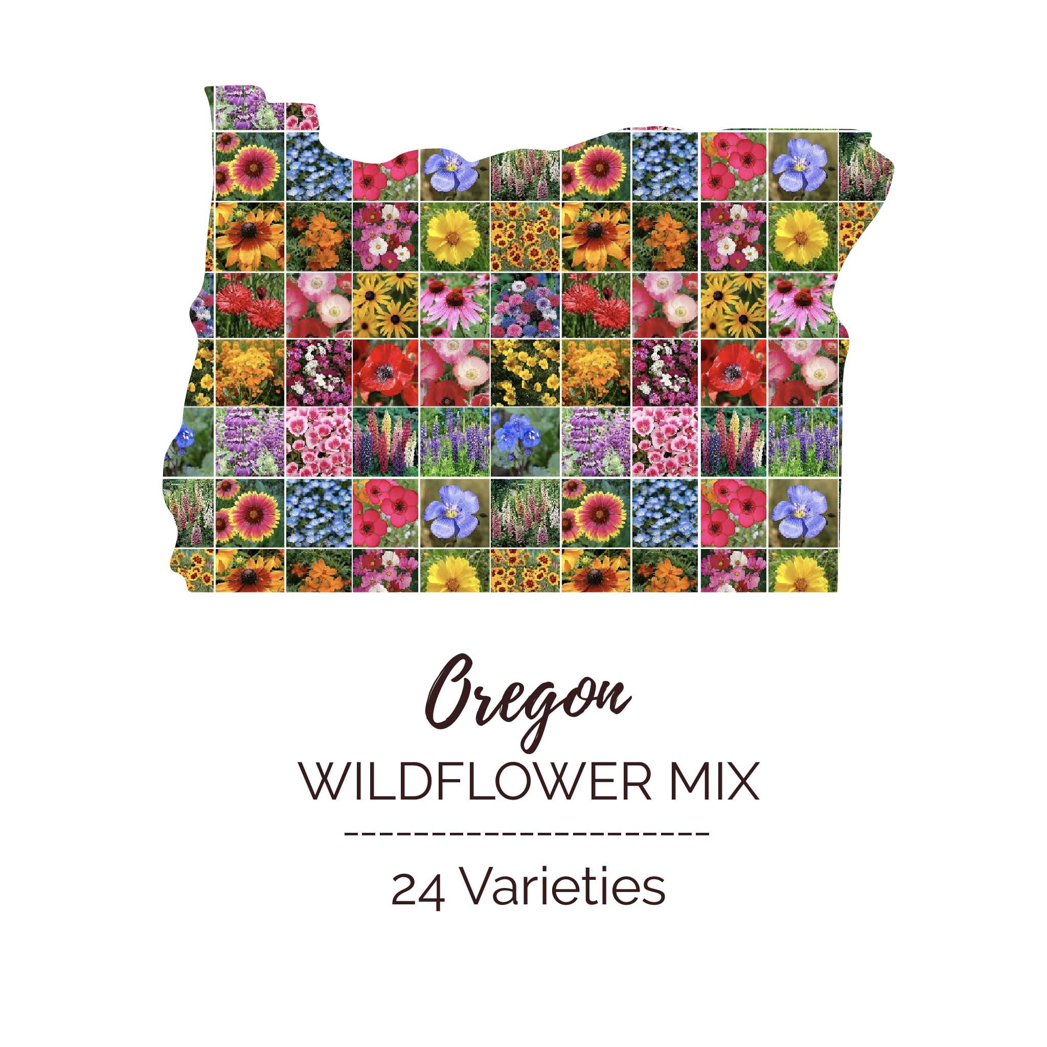 Eden Brothers Oregon Wildflower Mixed Seeds for Planting, 1/4 lb ...