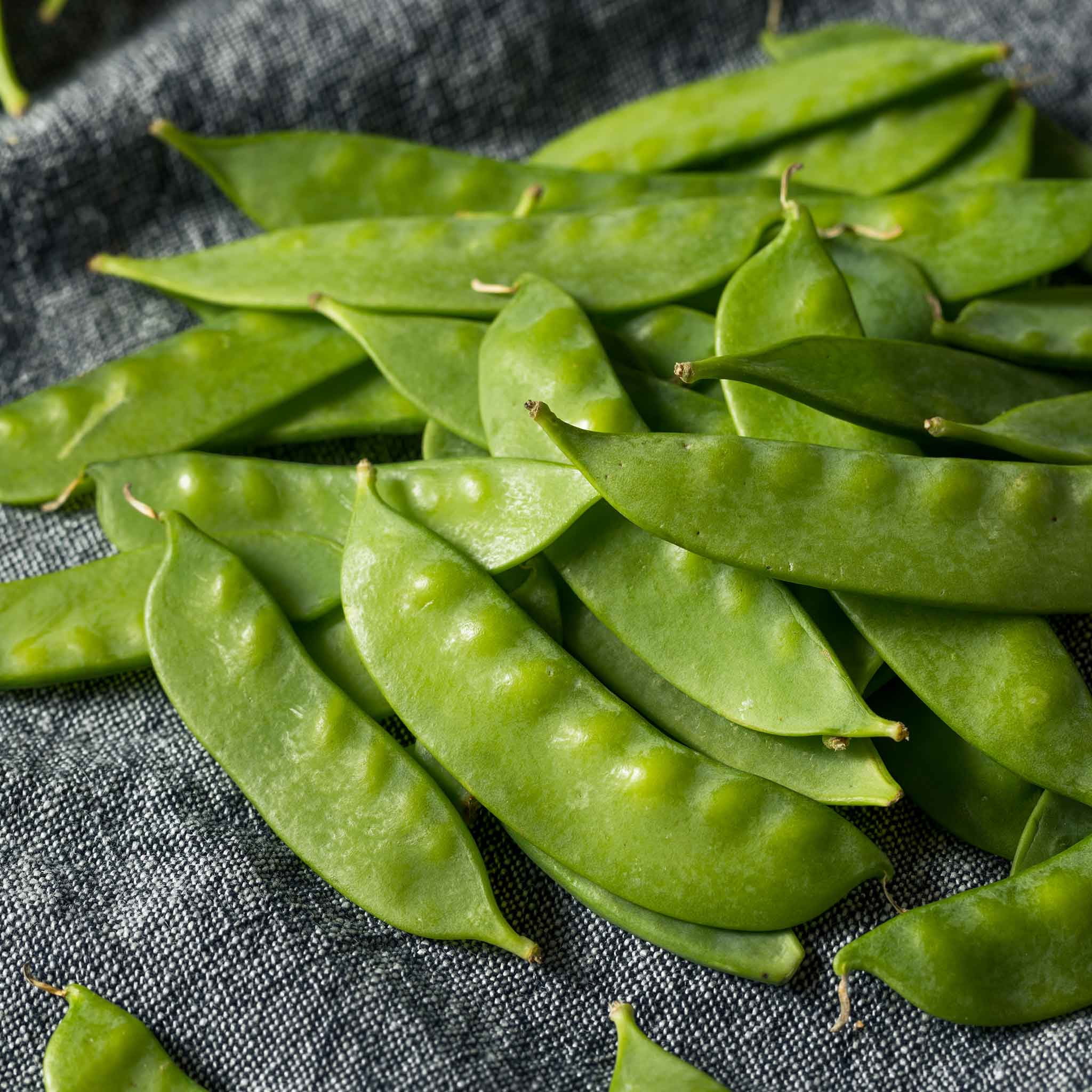 Eden Brothers Pea Seeds (Snow) - Dwarf Grey Sugar Non-GMO Seeds for ...