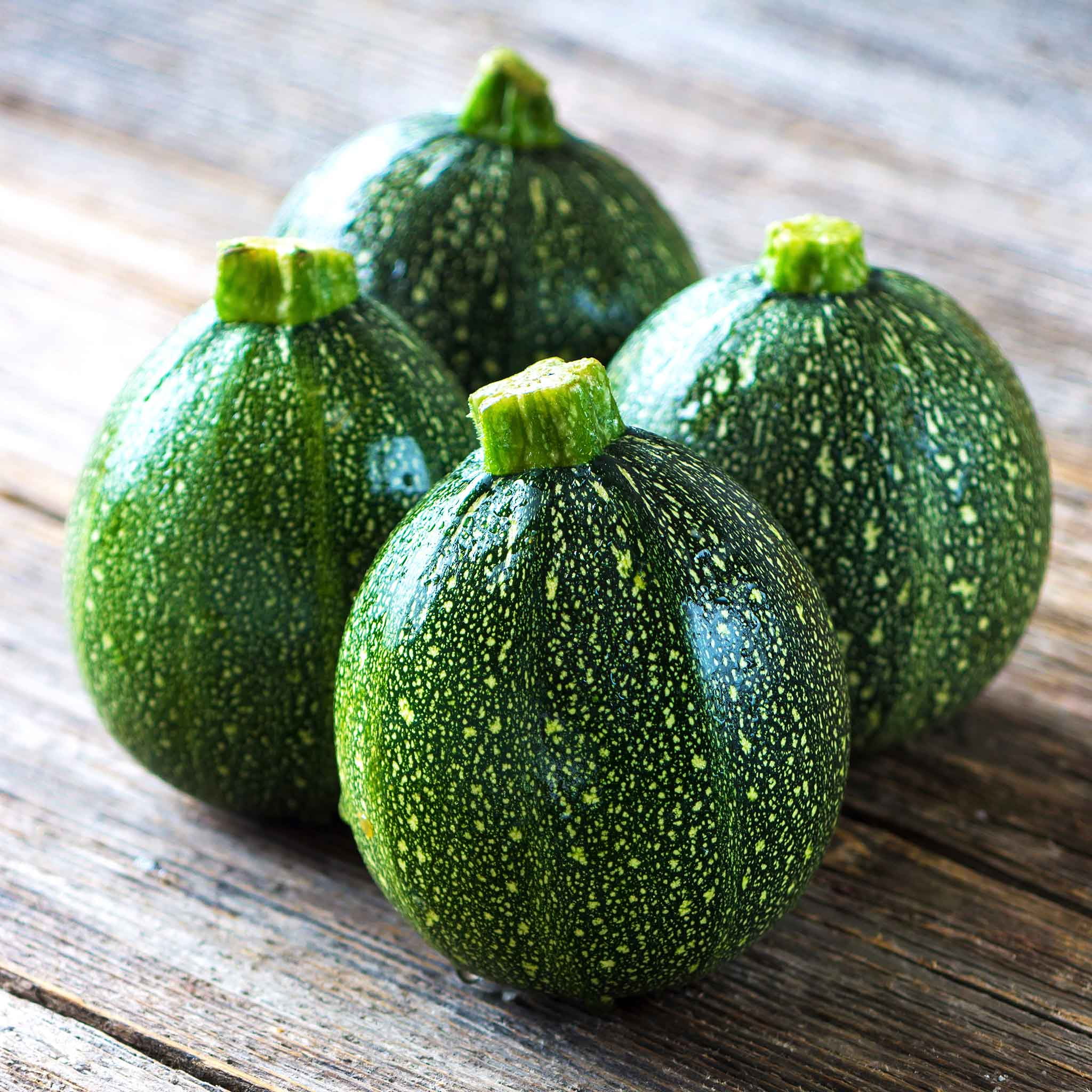 Eden Brothers Squash (Summer) Seeds - Round Zucchini Non-GMO Seeds for ...