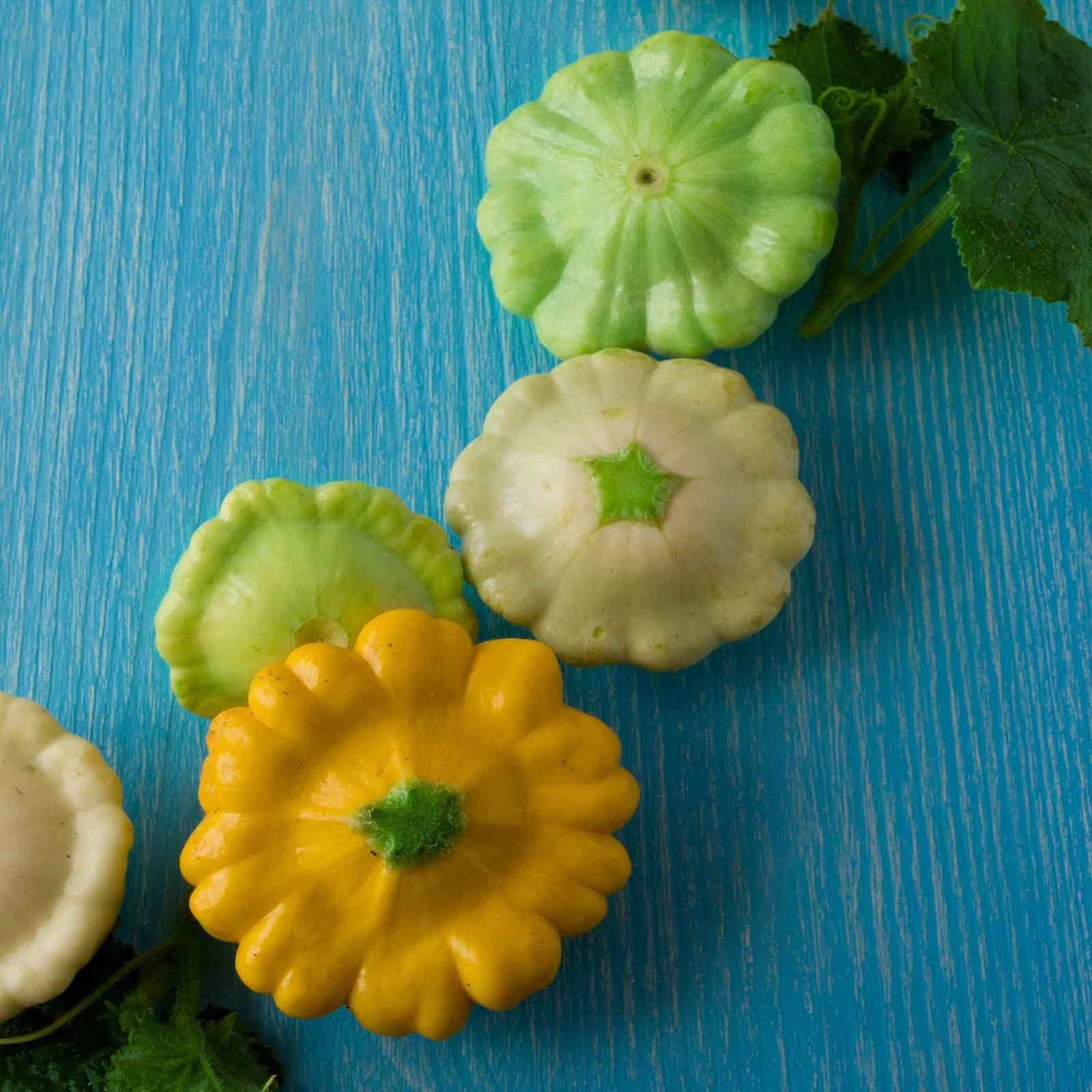 Eden Brothers Squash (Summer) Seeds - Scallop Blend Non-GMO Seeds for ...