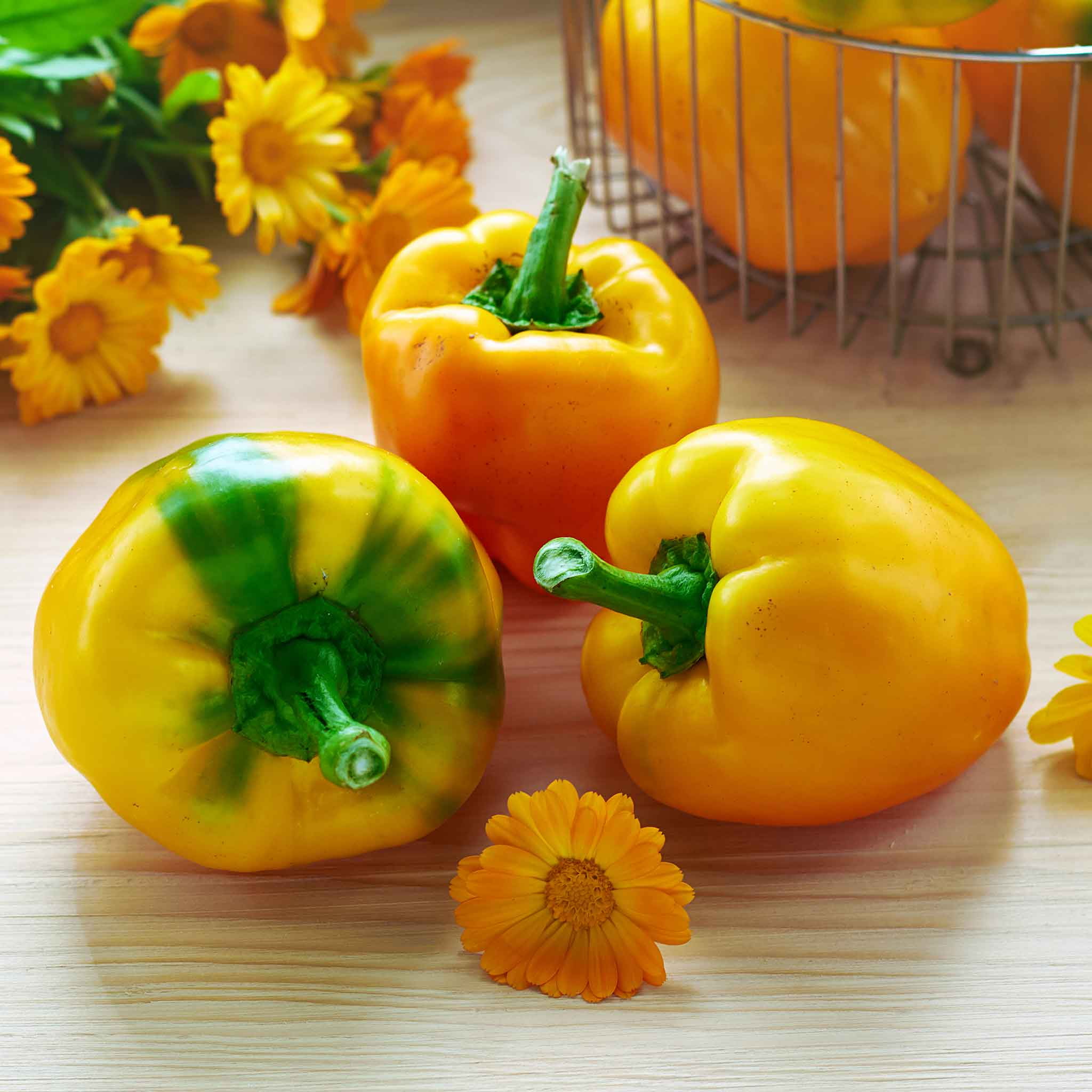 Eden Brothers Sweet Pepper Seeds - Canary Bell - Walmart.com