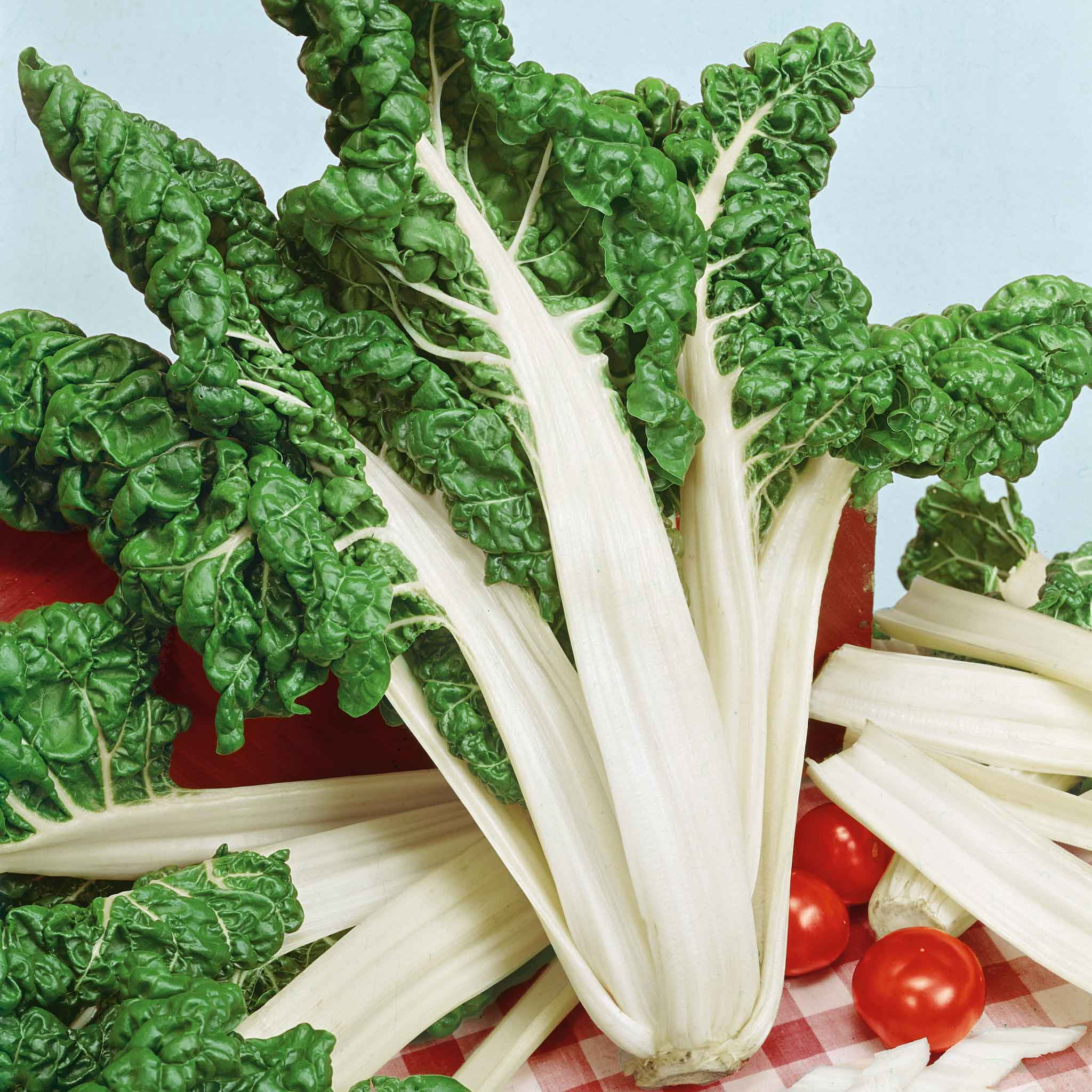 Eden Brothers Swiss Chard Seeds - Fordhook Giant - Walmart.com